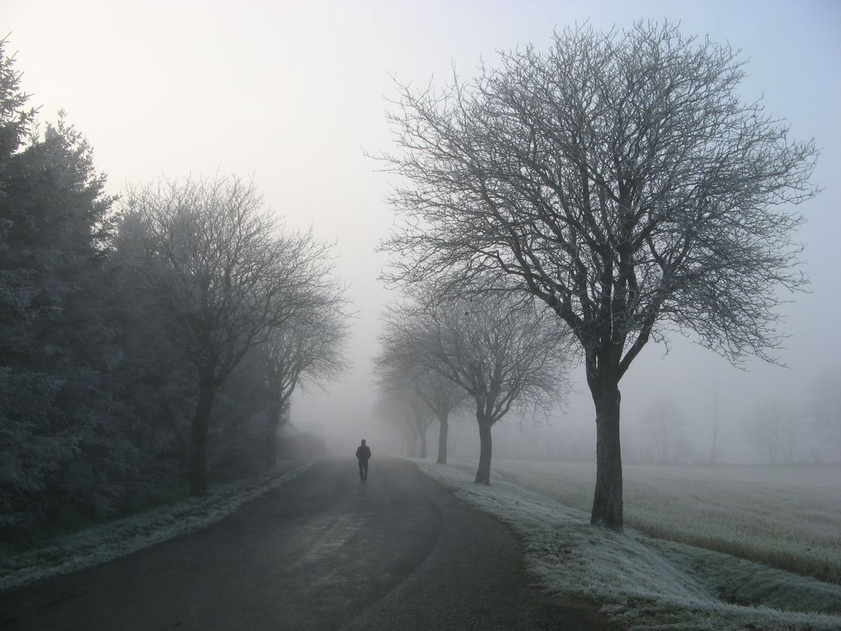Gloomy Photos, Download The BEST Free Gloomy Stock Photos & HD Images