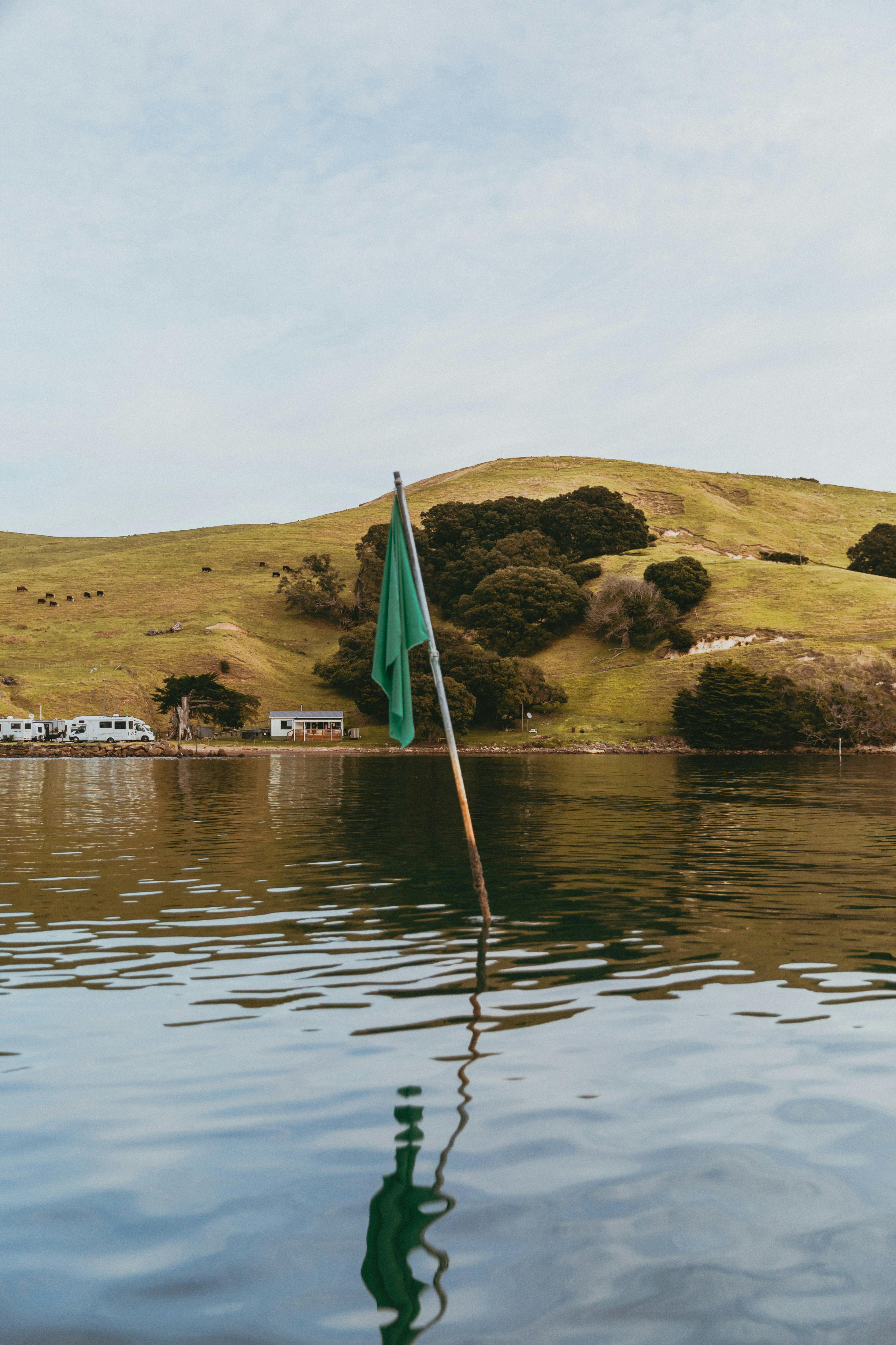 View of the Shore in the Waikato Region in New Zealand · Free Stock Photo