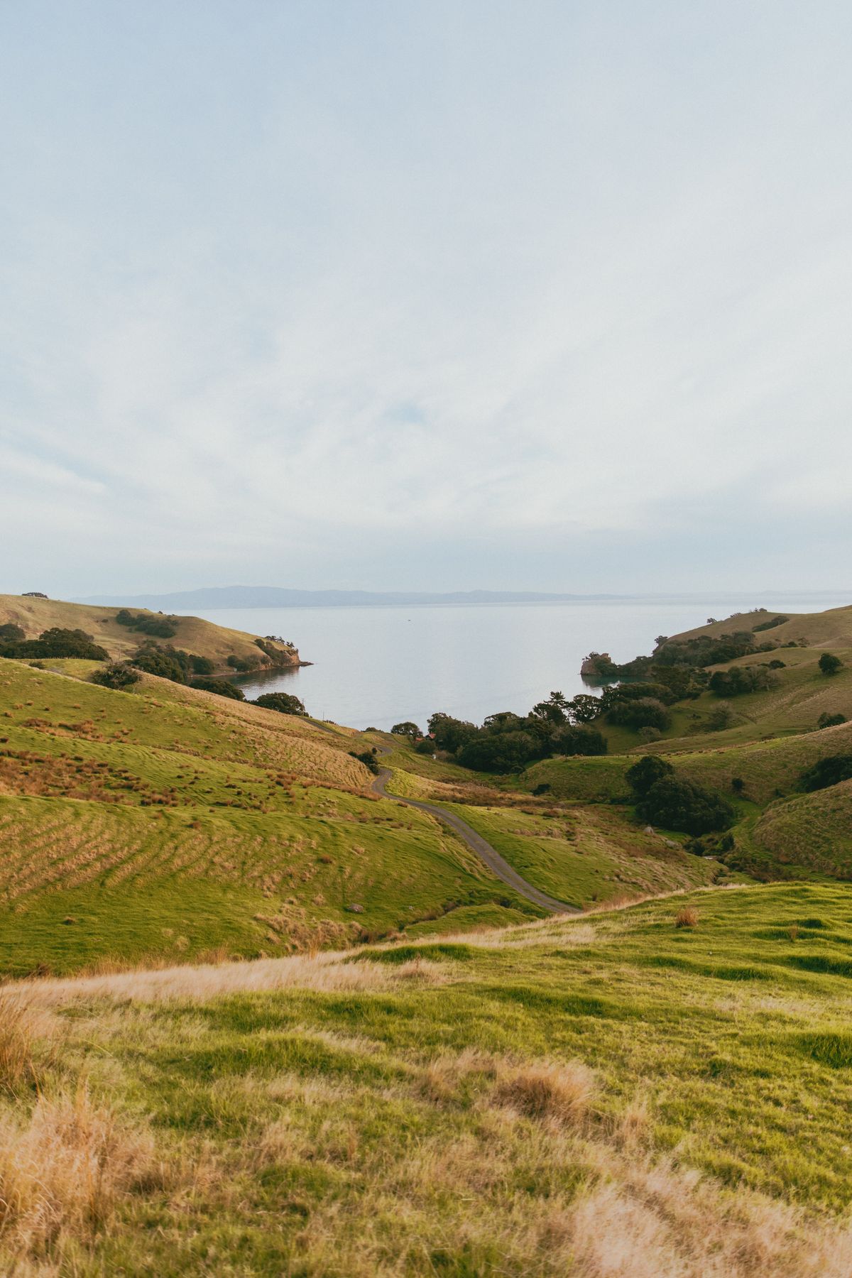 New Zealand Rolling Hills Photos, Download The BEST Free New Zealand ...