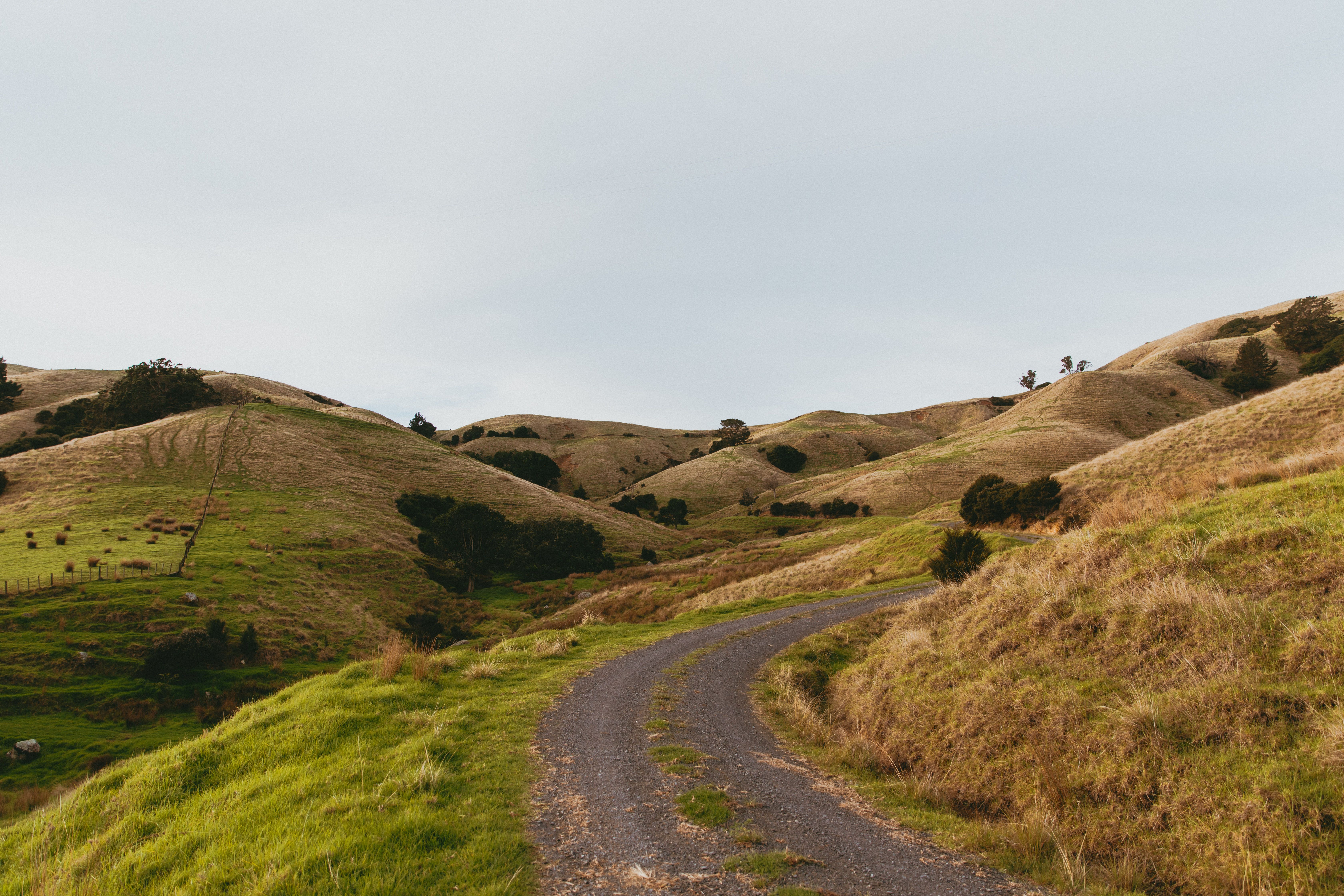 A dirt road winding through a grassy hillside · Free Stock Photo