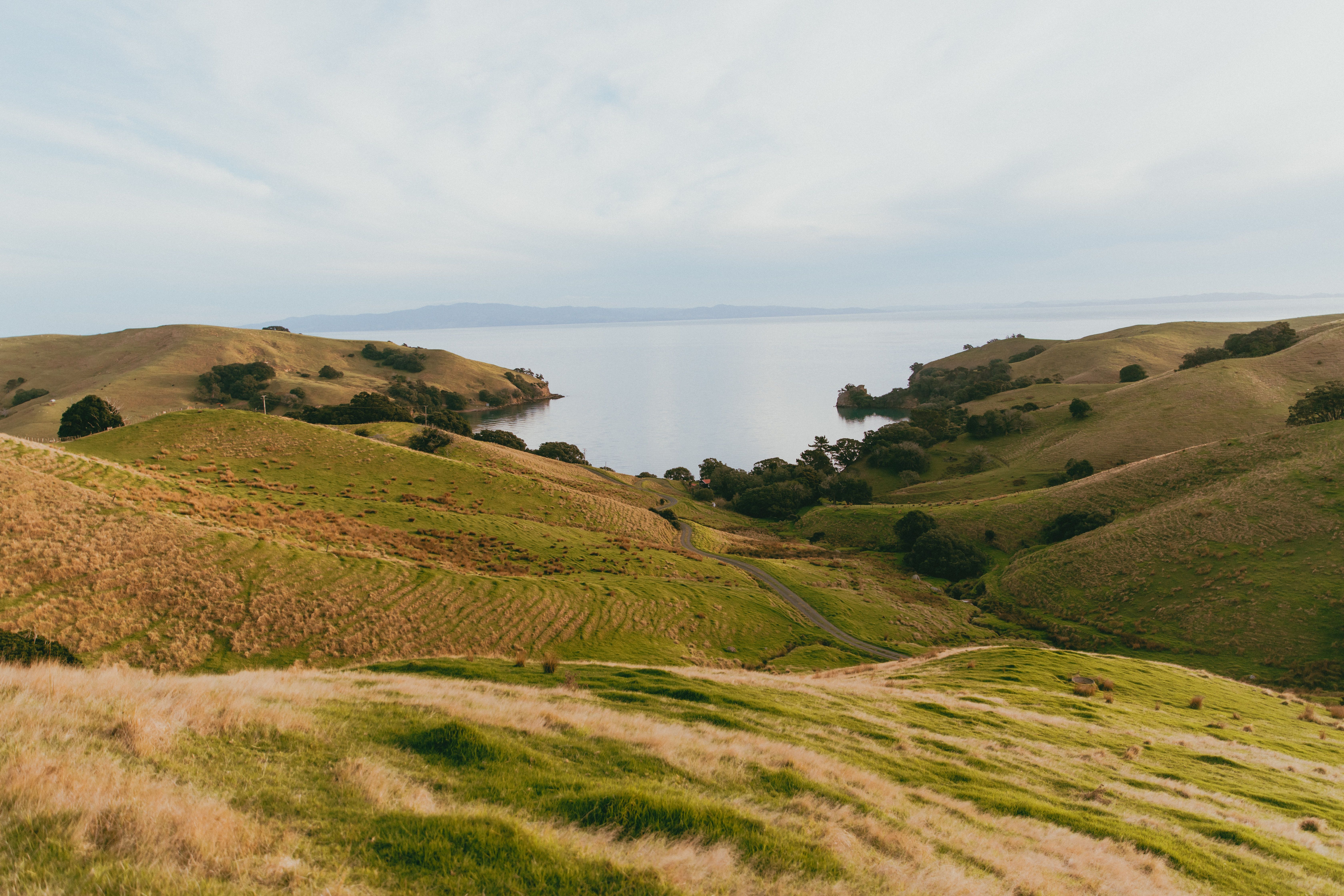 A view of the ocean and hills from a hill · Free Stock Photo