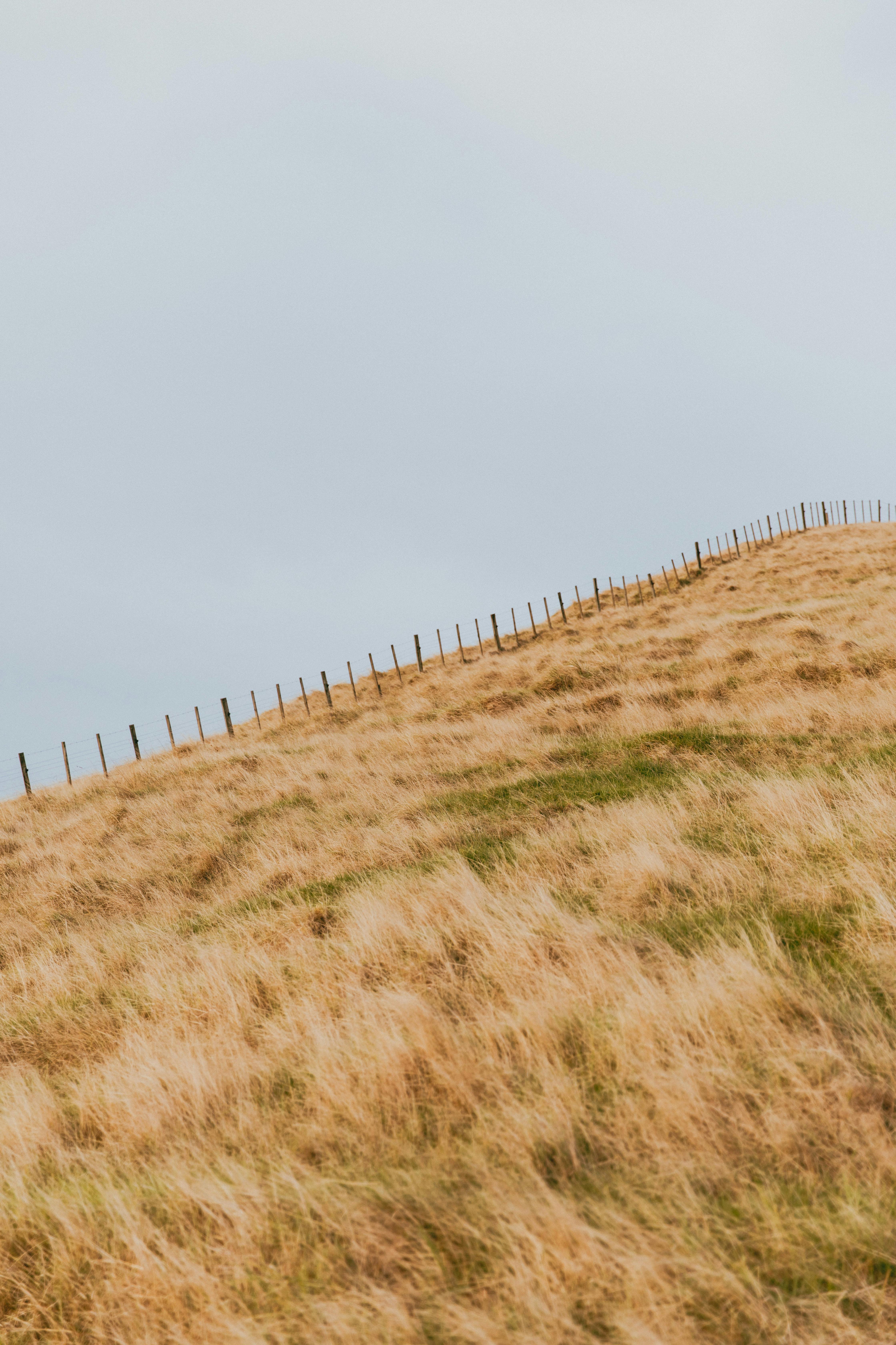 Foto profissional gratuita de agricultura, ao ar livre, beleza natural ...