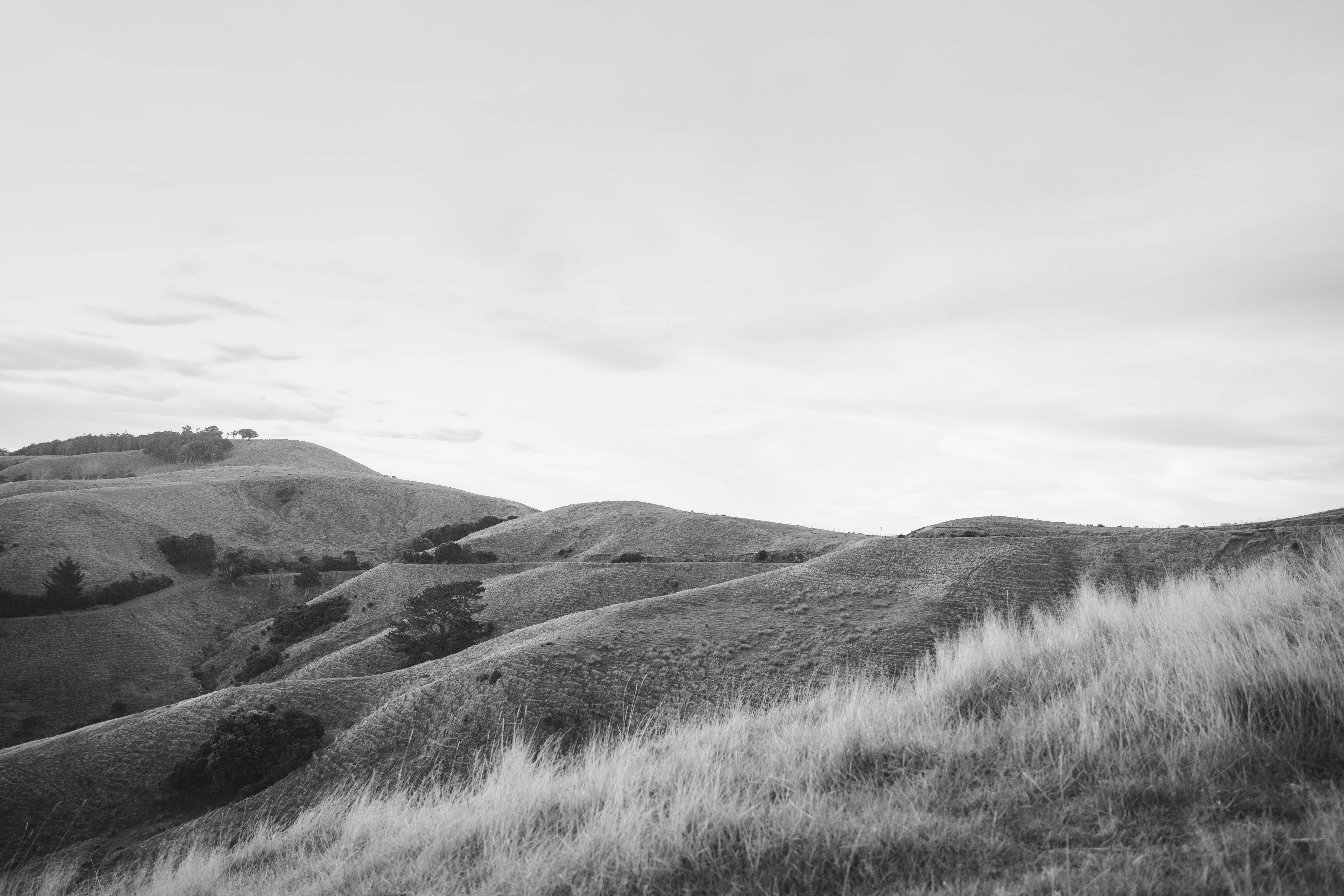 Hills in Countryside in Black and White · Free Stock Photo