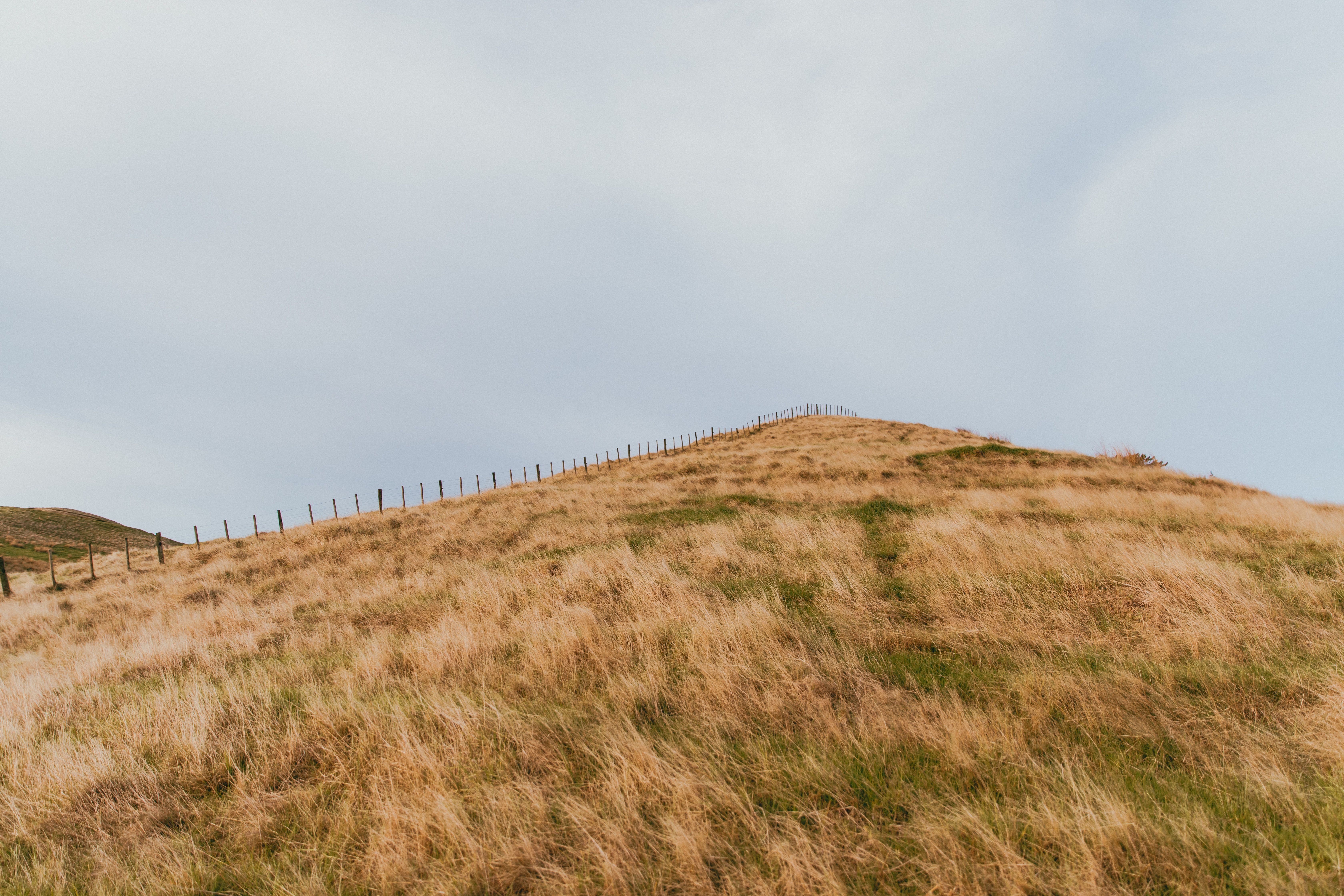 A person walking on a grassy hill · Free Stock Photo