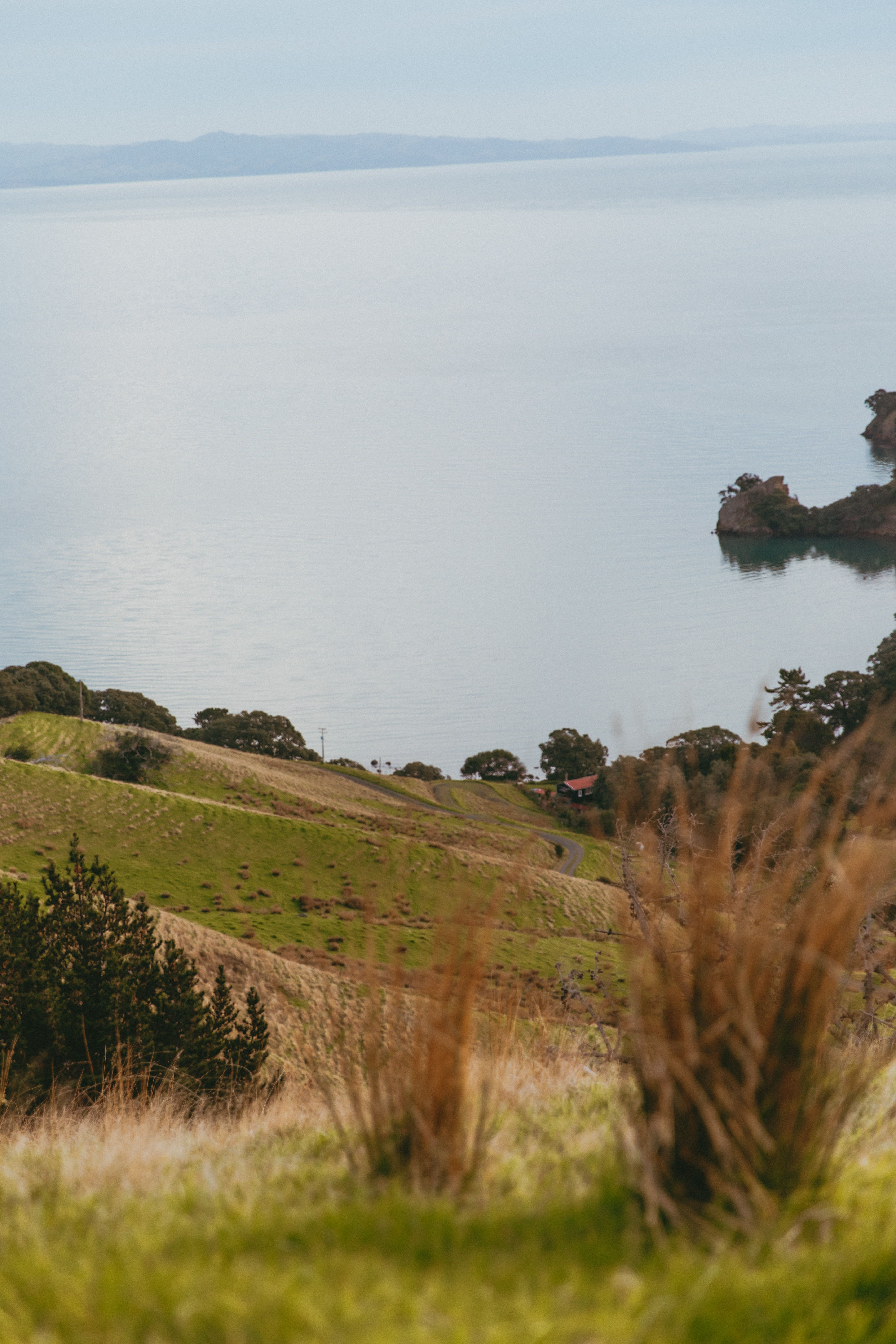 A person is standing on a hill overlooking the ocean · Free Stock Photo