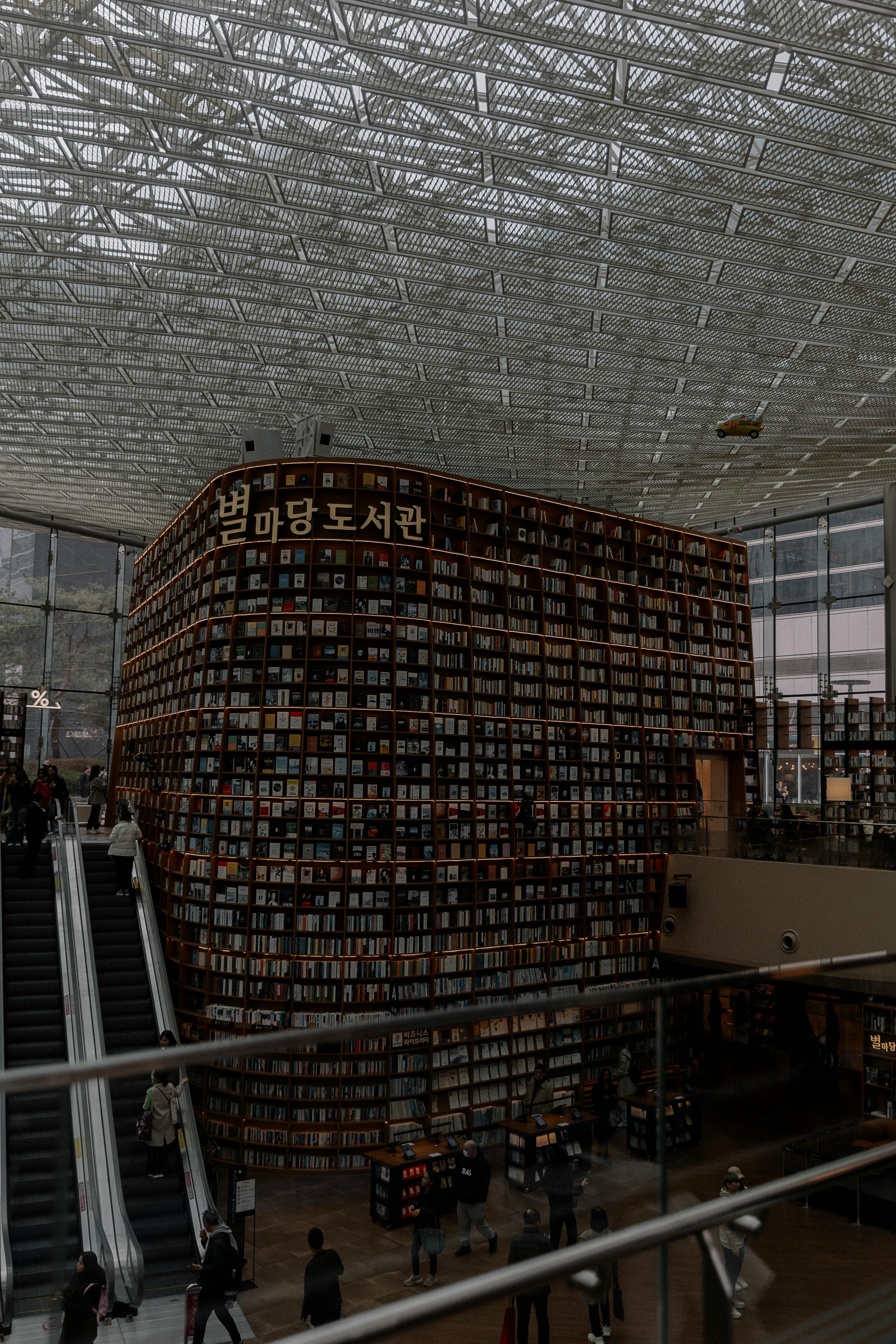 People Reading Books In Library · Free Stock Photo