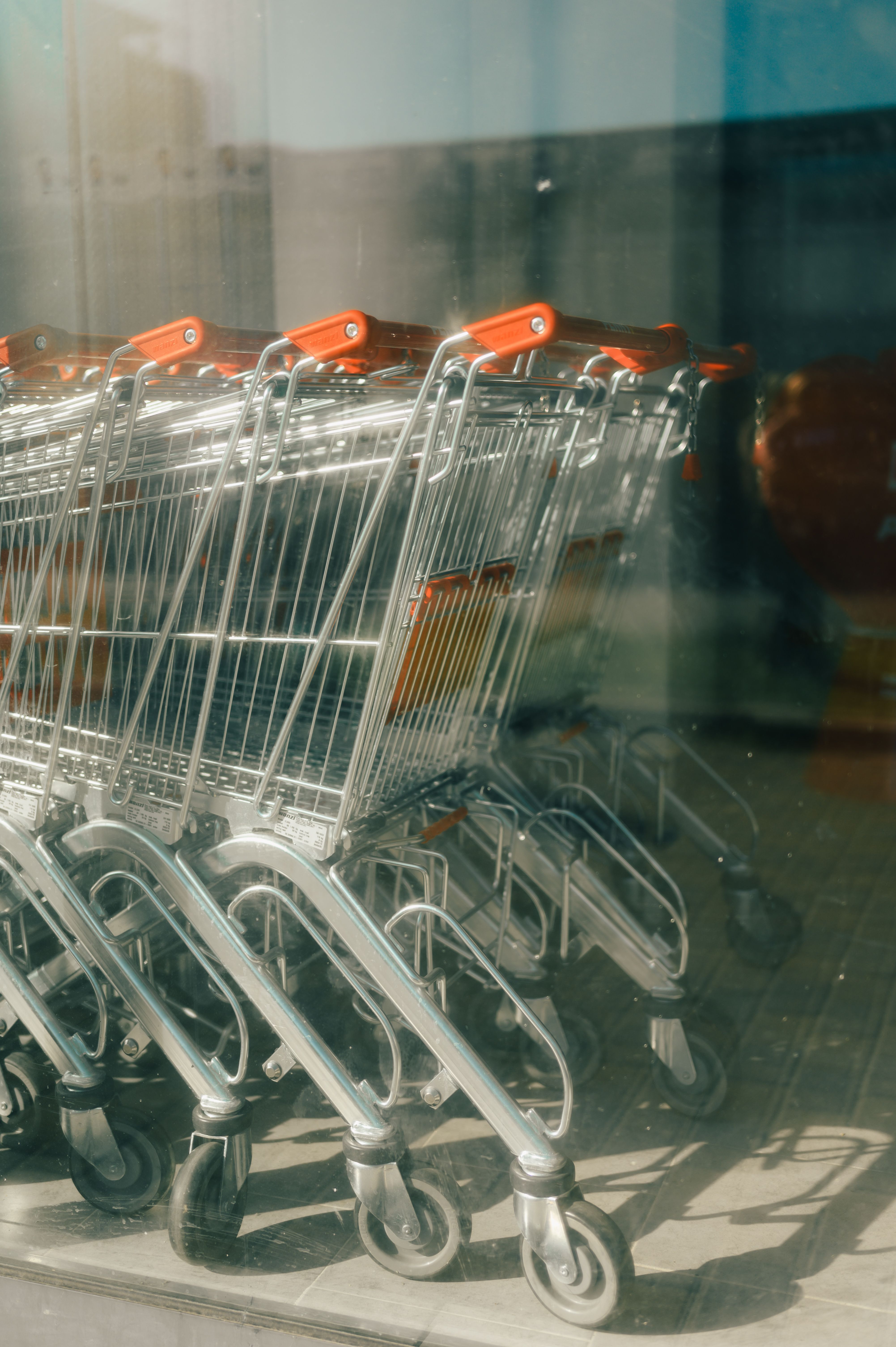 Shopping carts in a store window · Free Stock Photo