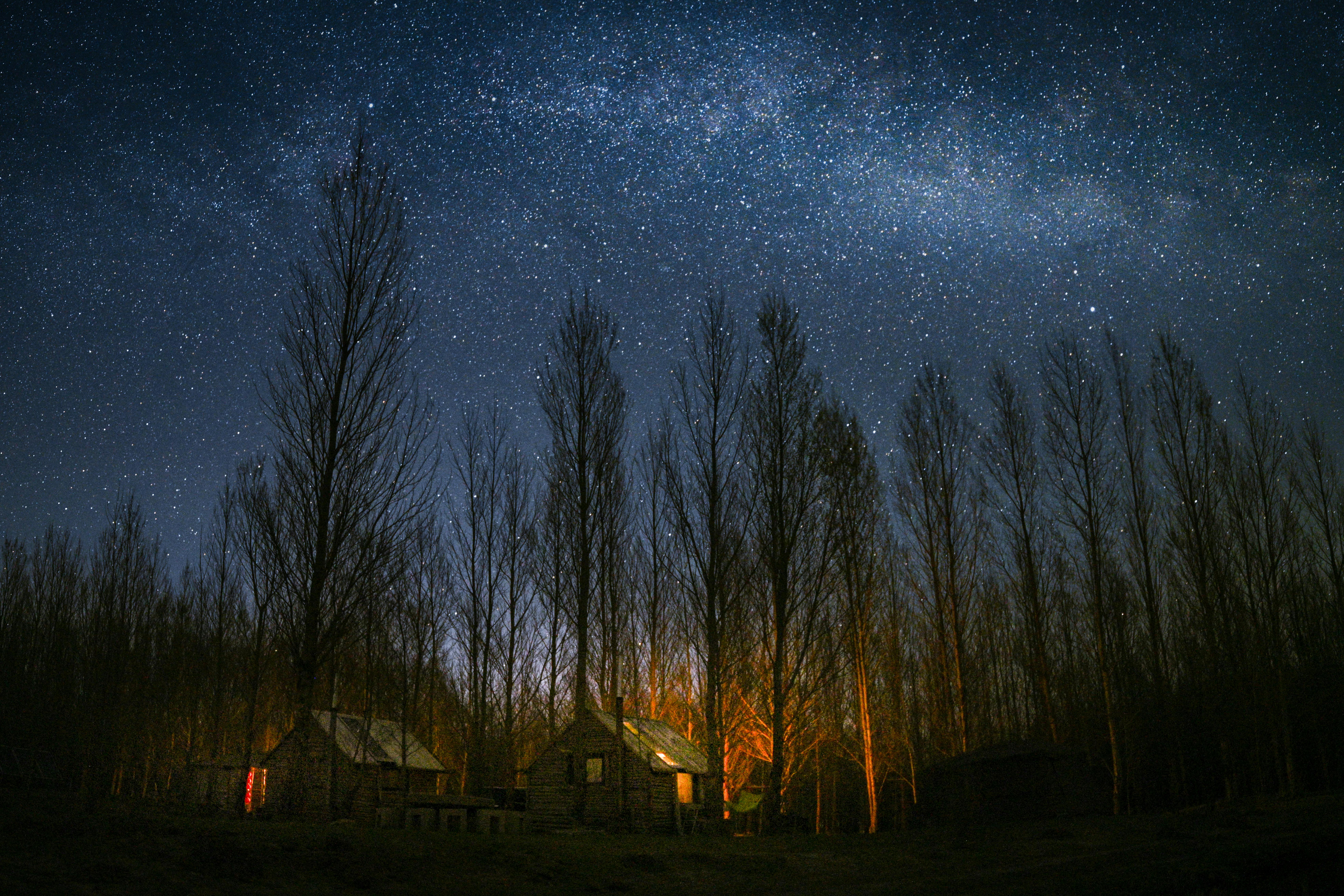 Cottages in the Forest Under the Starry Night Sky · Free Stock Photo