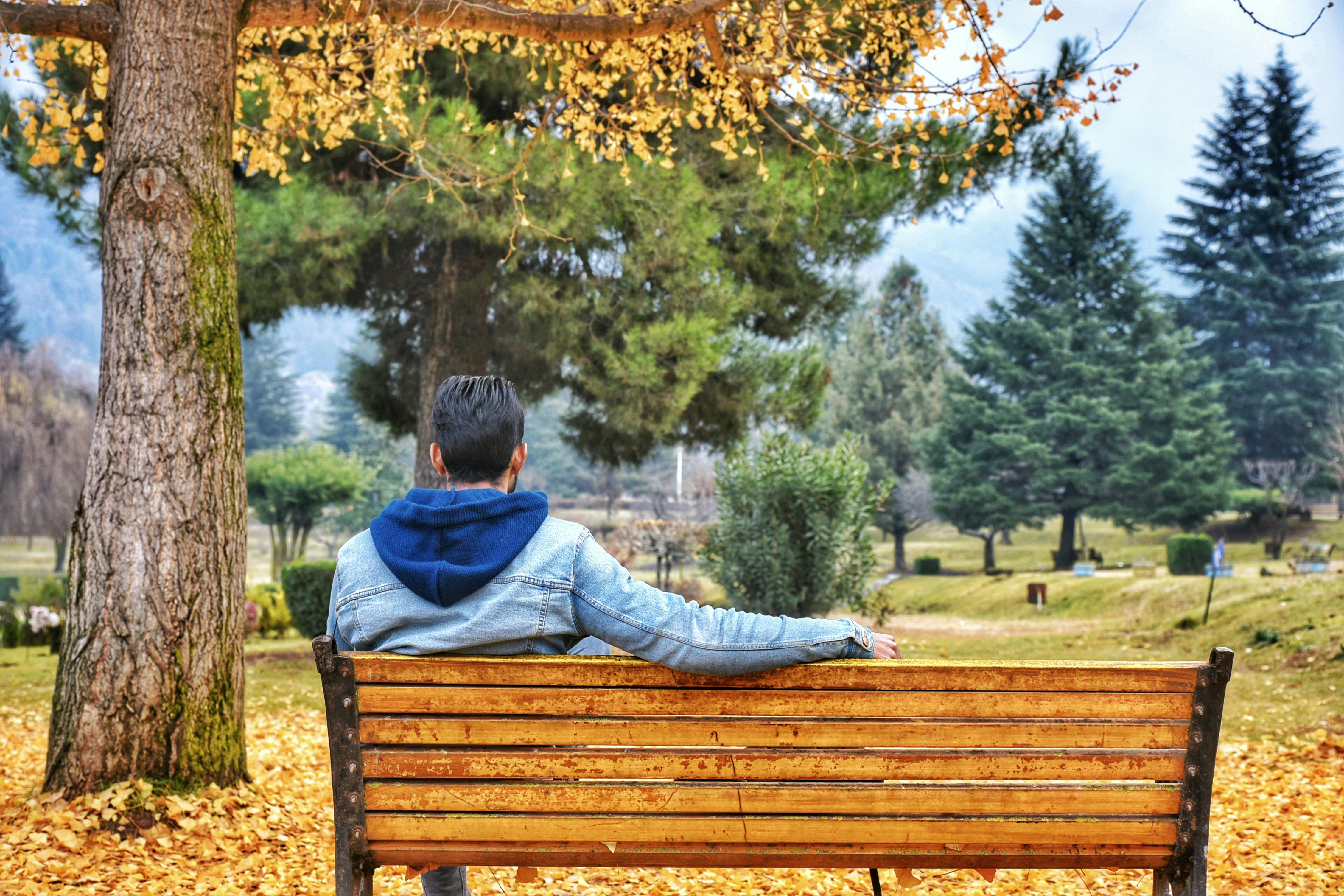 Back View of a Man Sitting Alone on a Bench in the Park in Autumn ...
