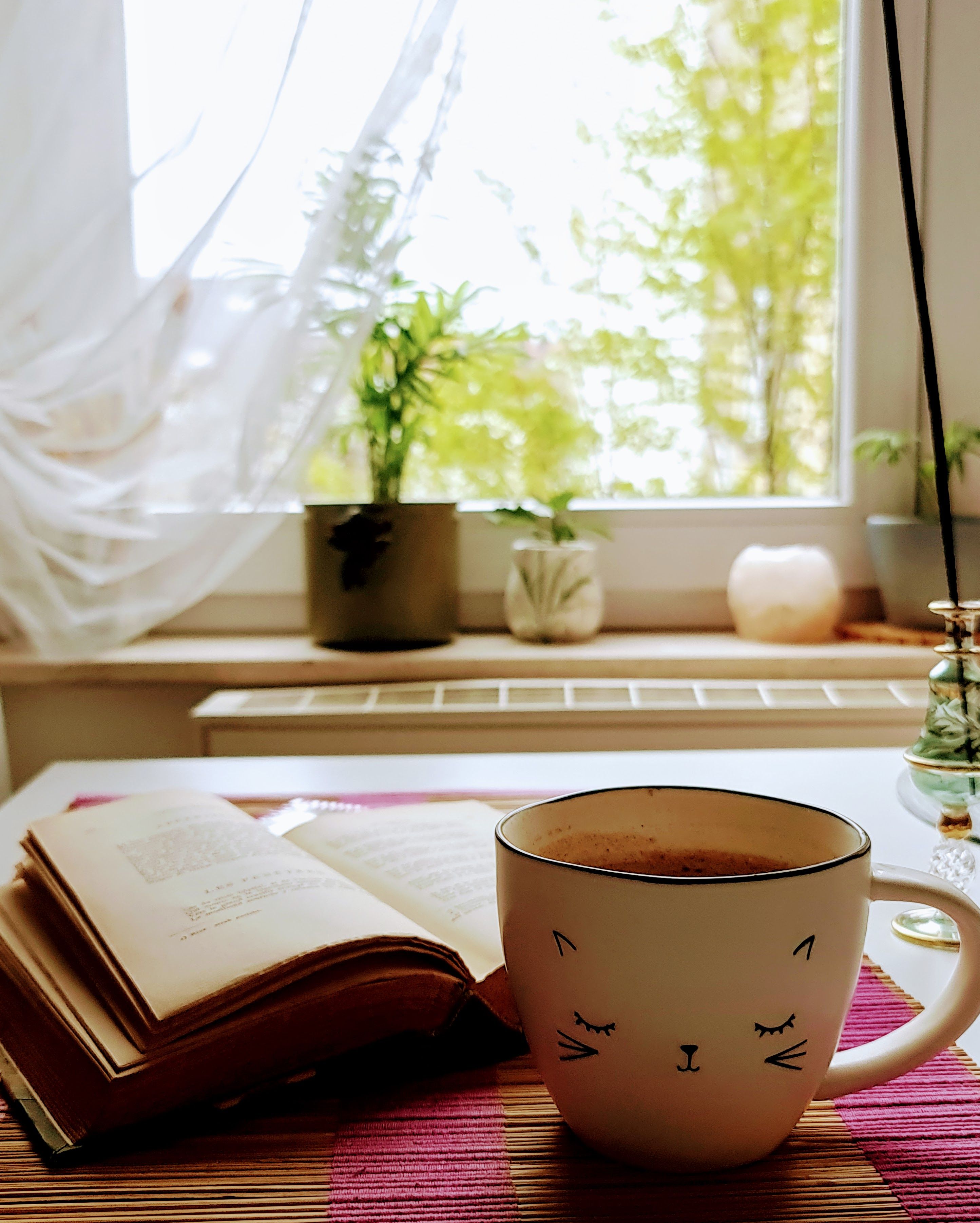 Cup of Coffee and Open Book Next to a Window · Free Stock Photo