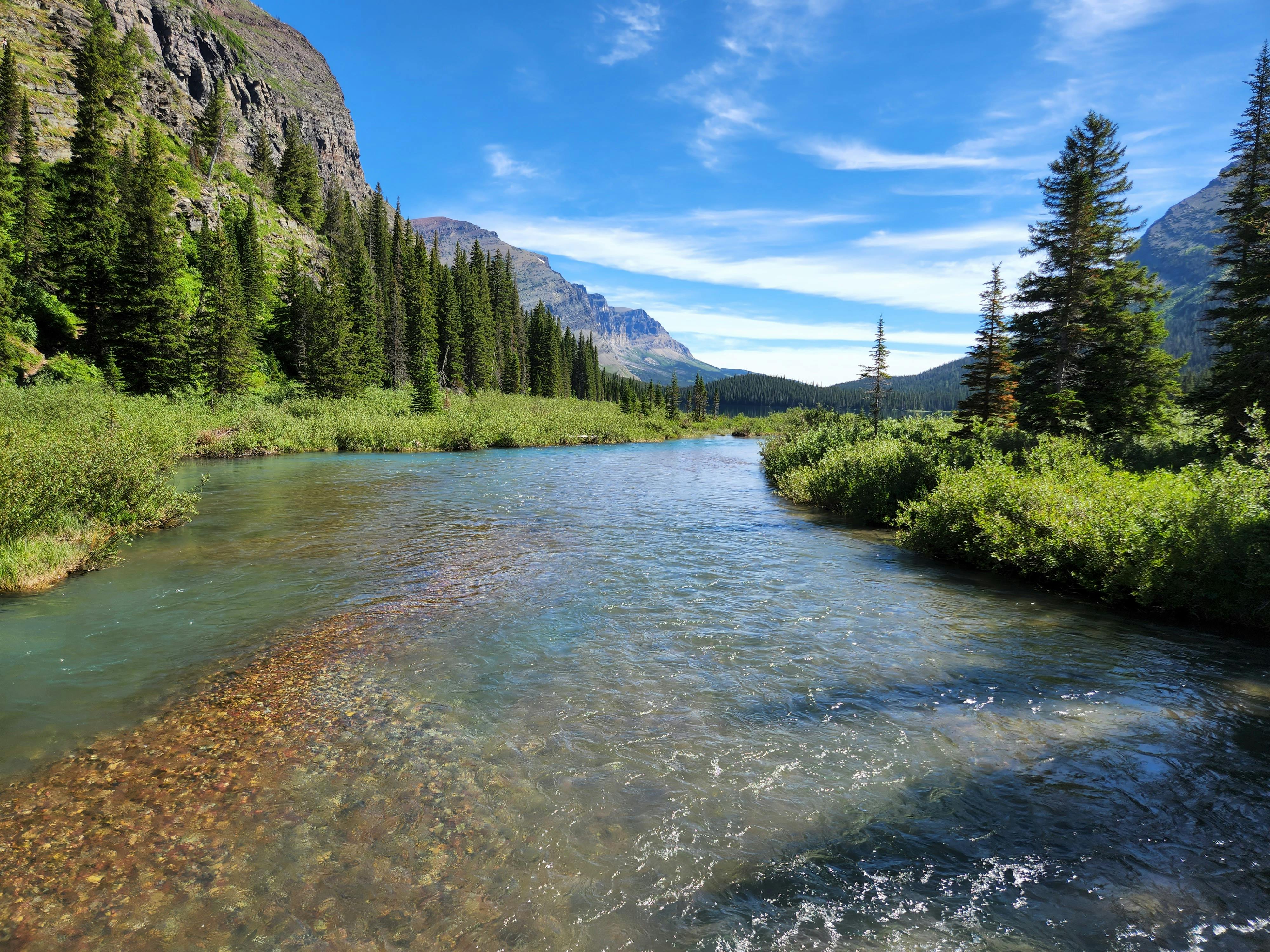 Riverbank Background Photos, Download The BEST Free Riverbank ...