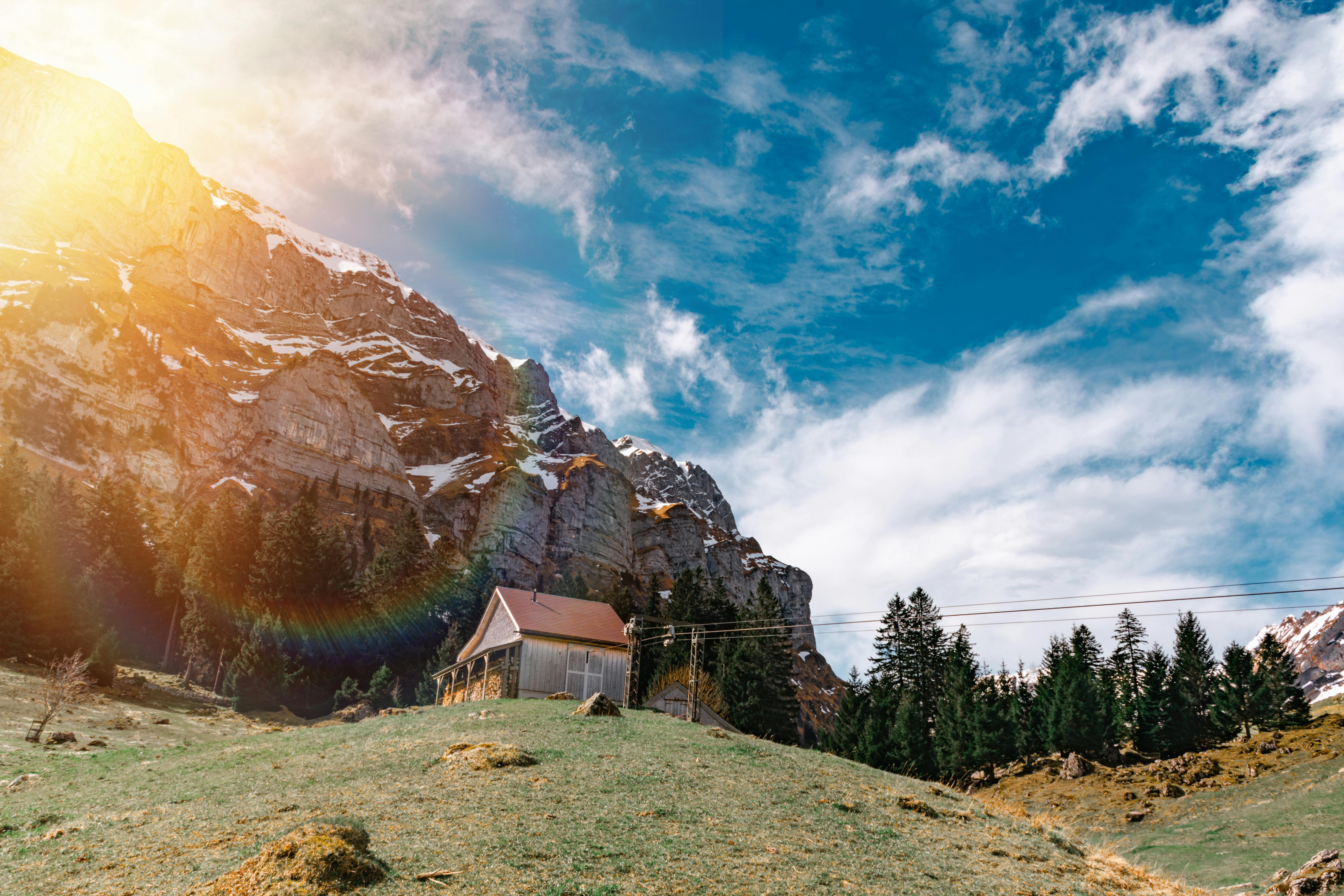 Baran Robin - Fotografía