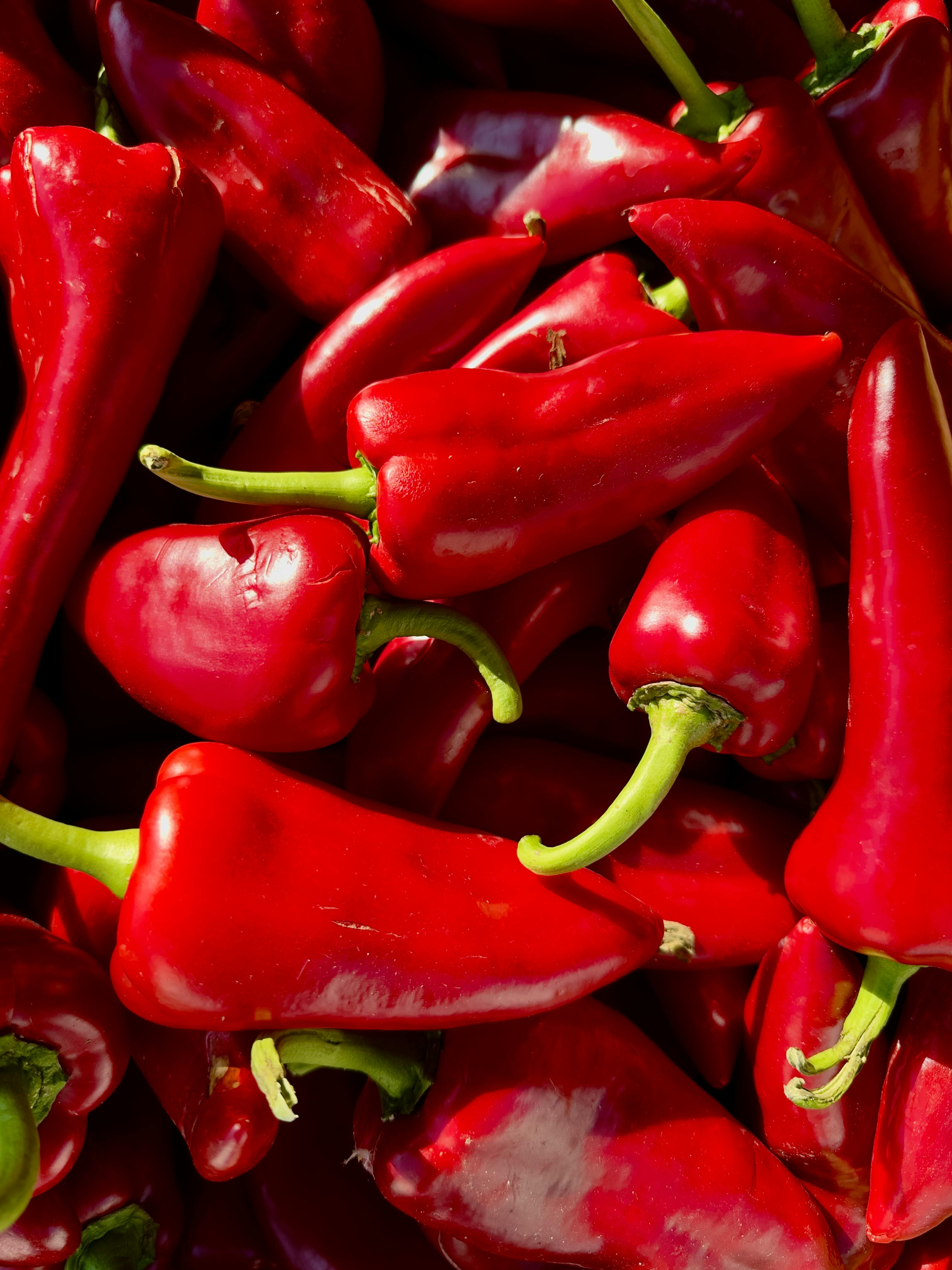 Many Red Peppers · Free Stock Photo