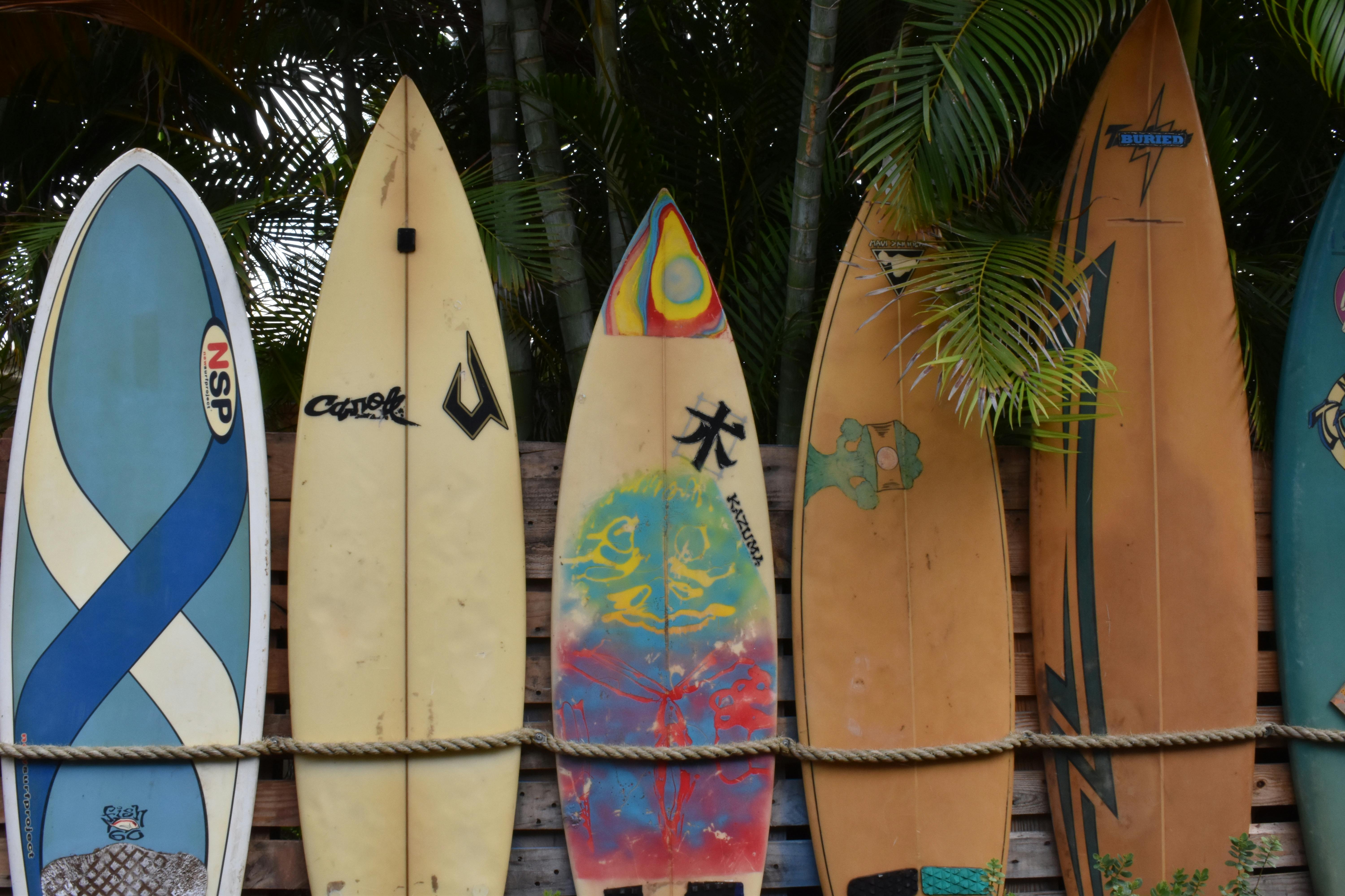 Colorful Surf Boards · Free Stock Photo