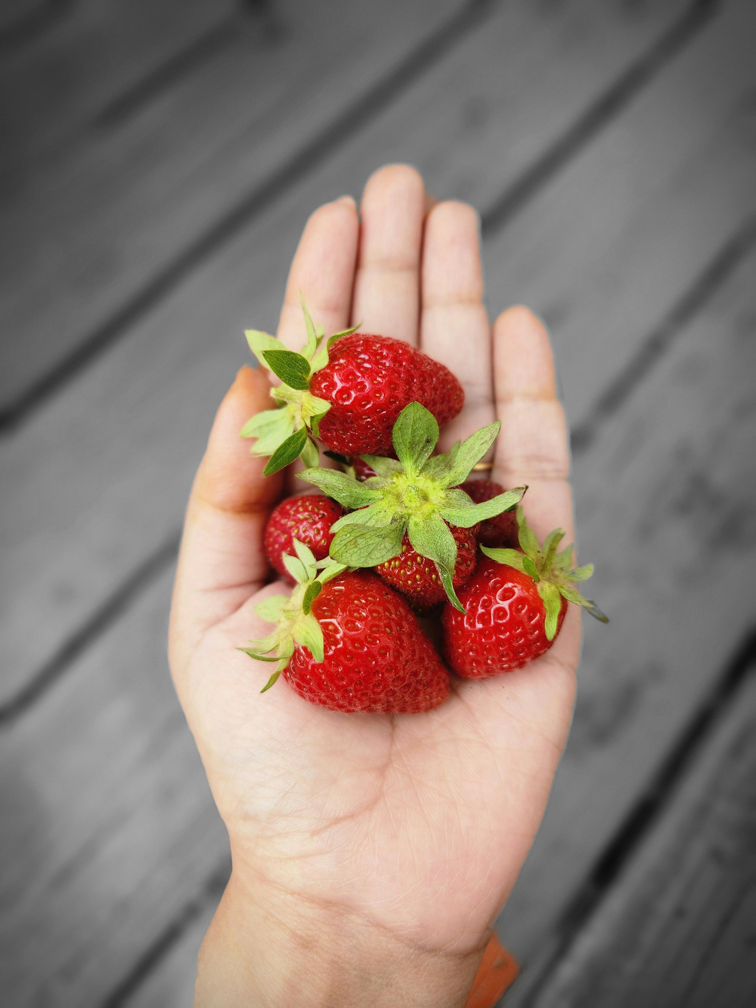 Person Holding Strawberries in Hand · Free Stock Photo