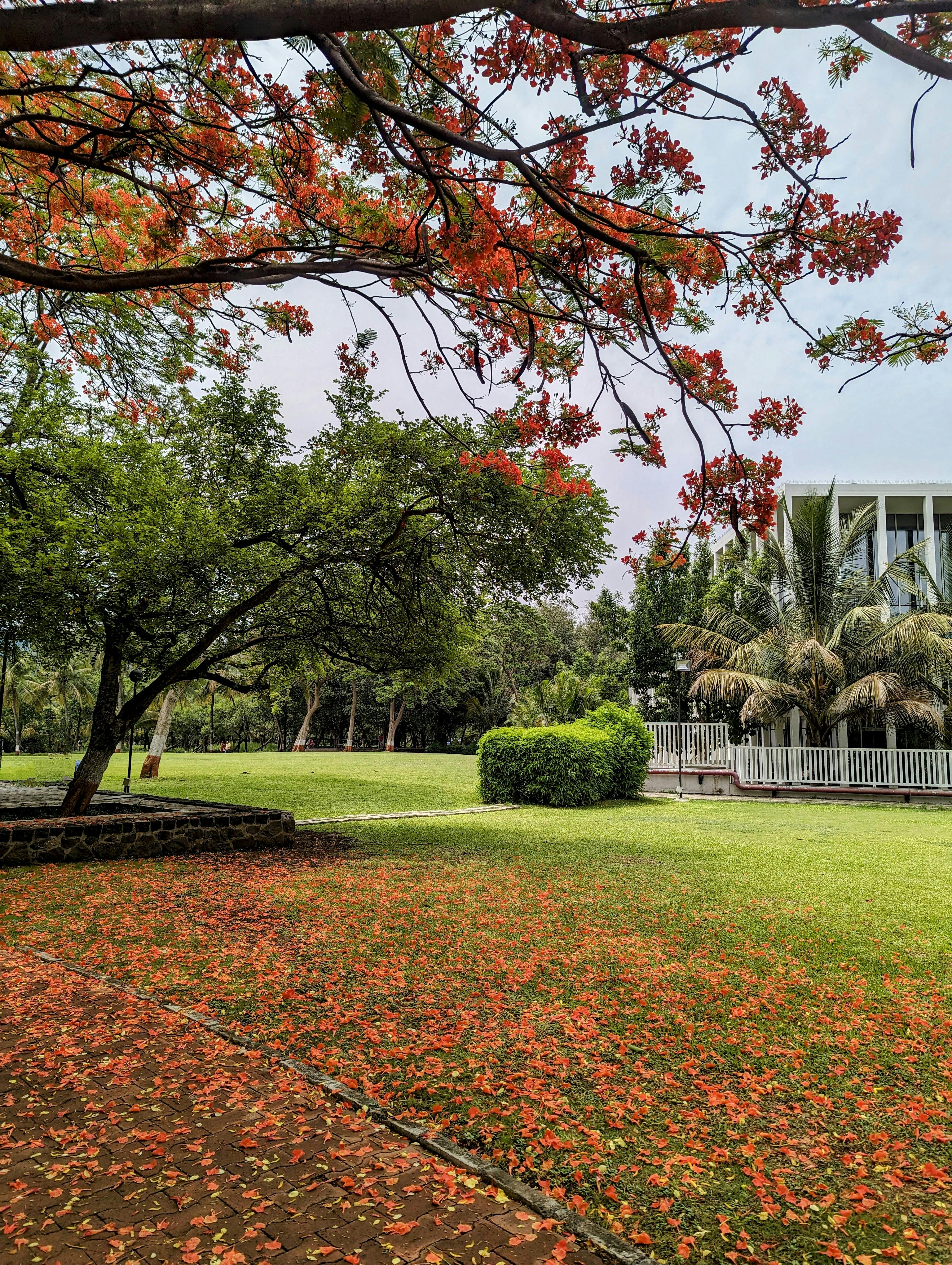 Bhavishya :) - Photography