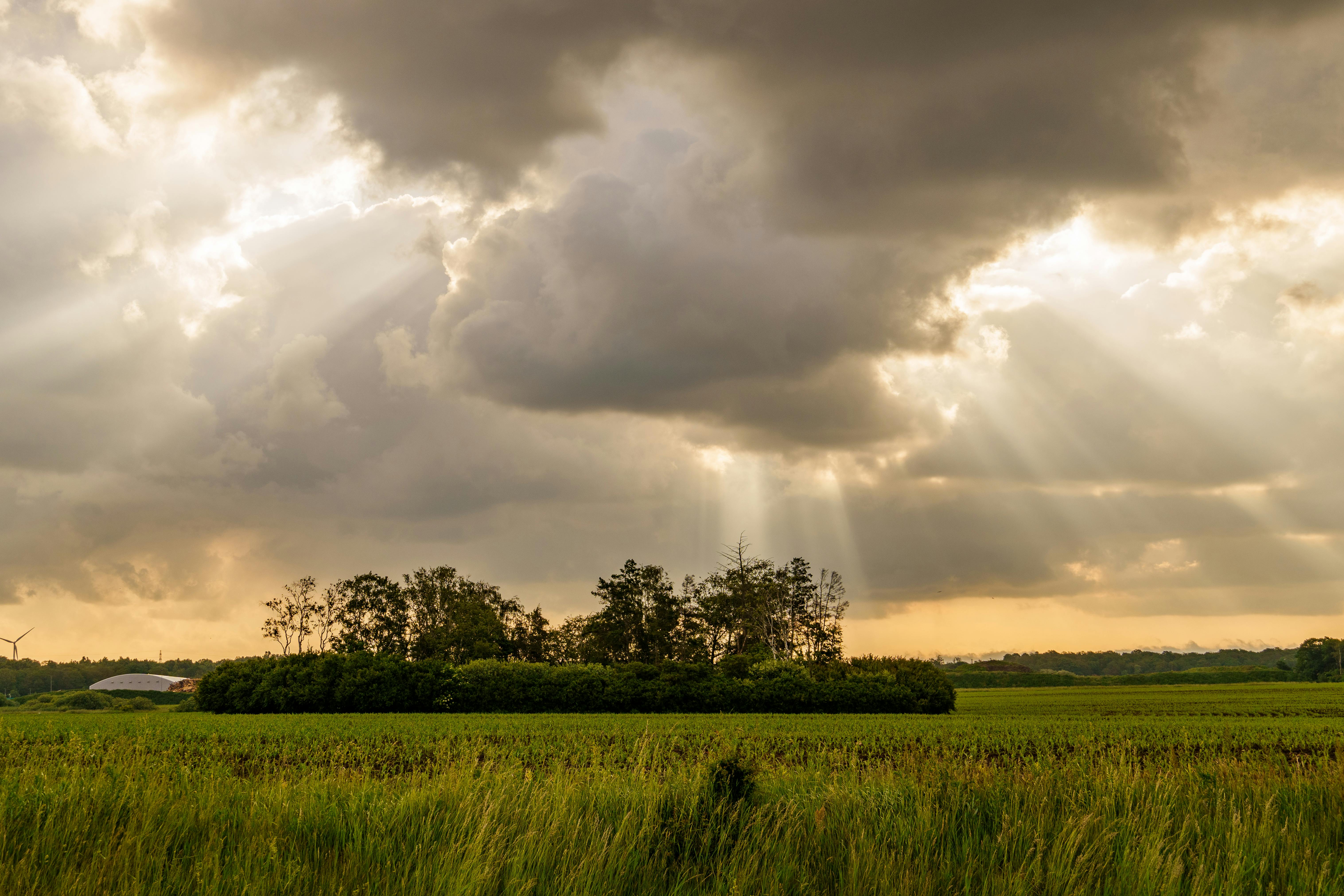 Rural Field Against Sun Rays Piercing Through the Clouds · Free Stock Photo