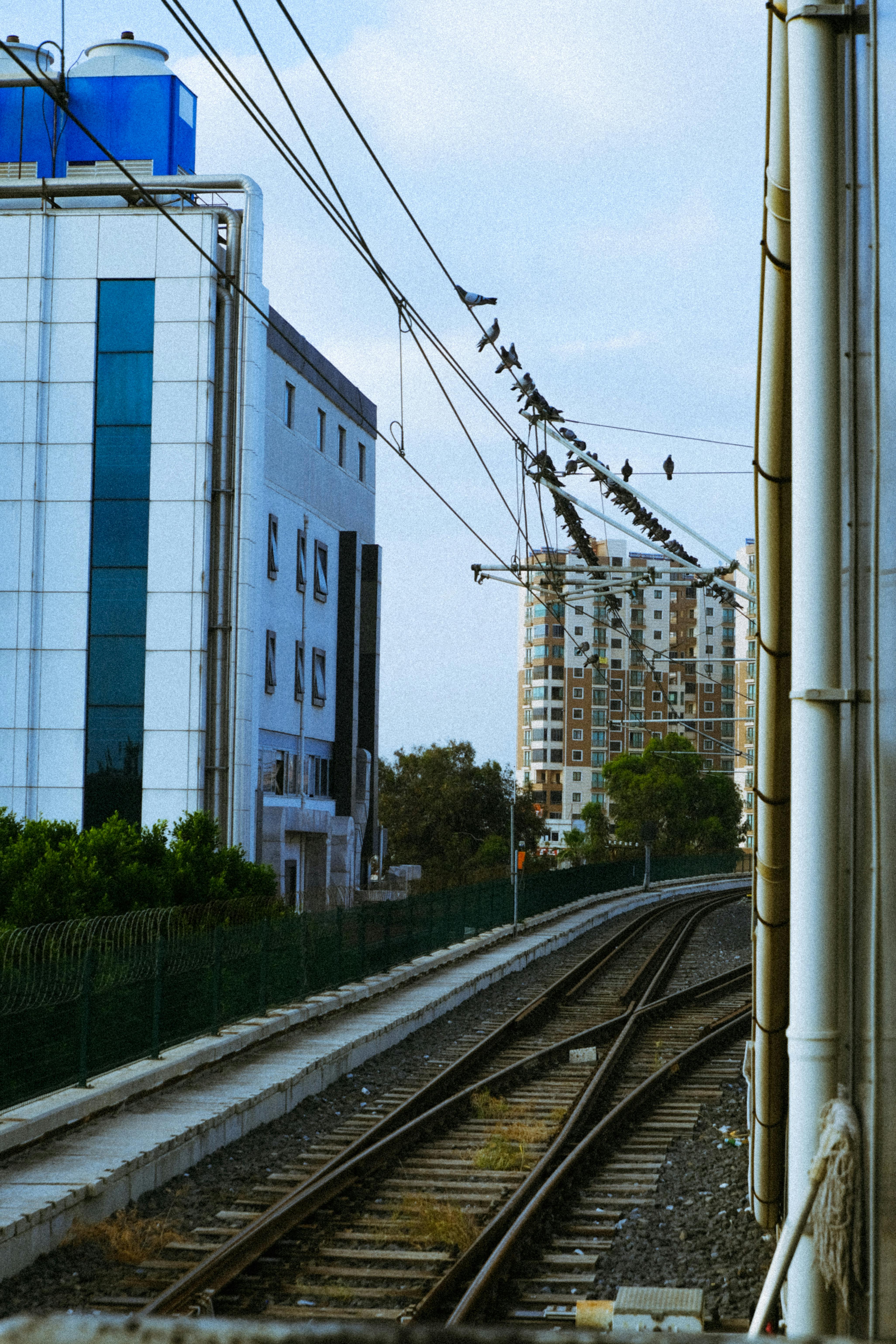 A train tracks with birds flying around it · Free Stock Photo