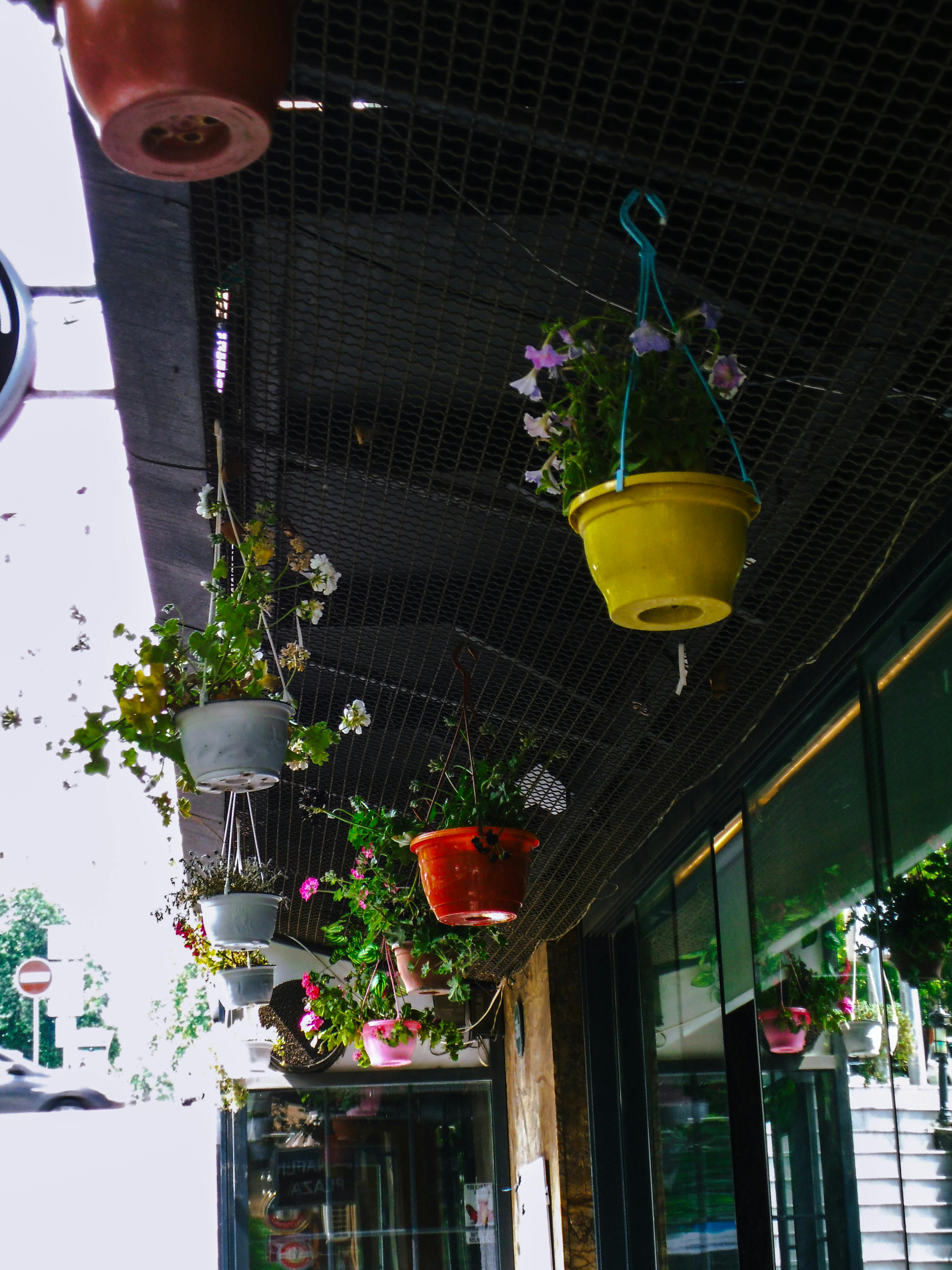 Narmin Aliyeva - 写真