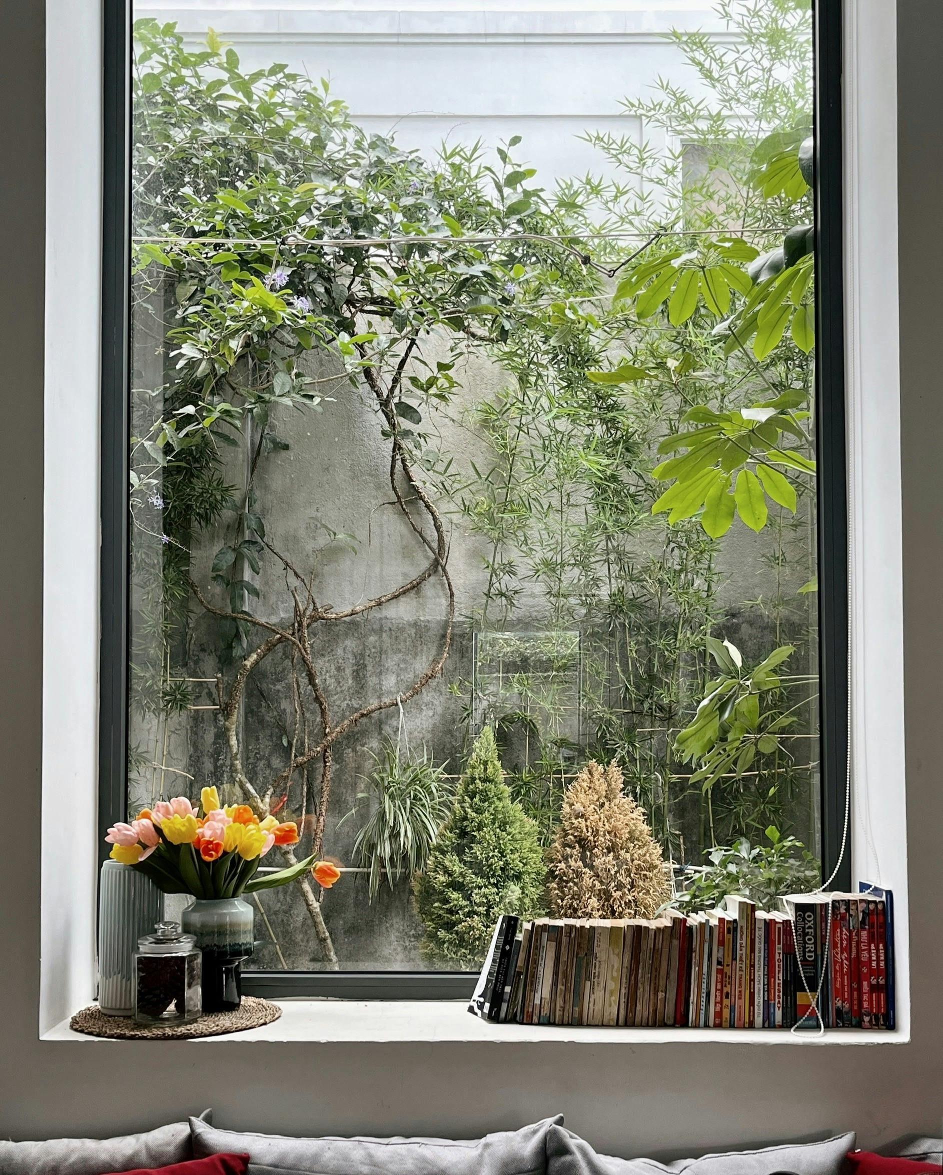 Garden through window · Free Stock Photo