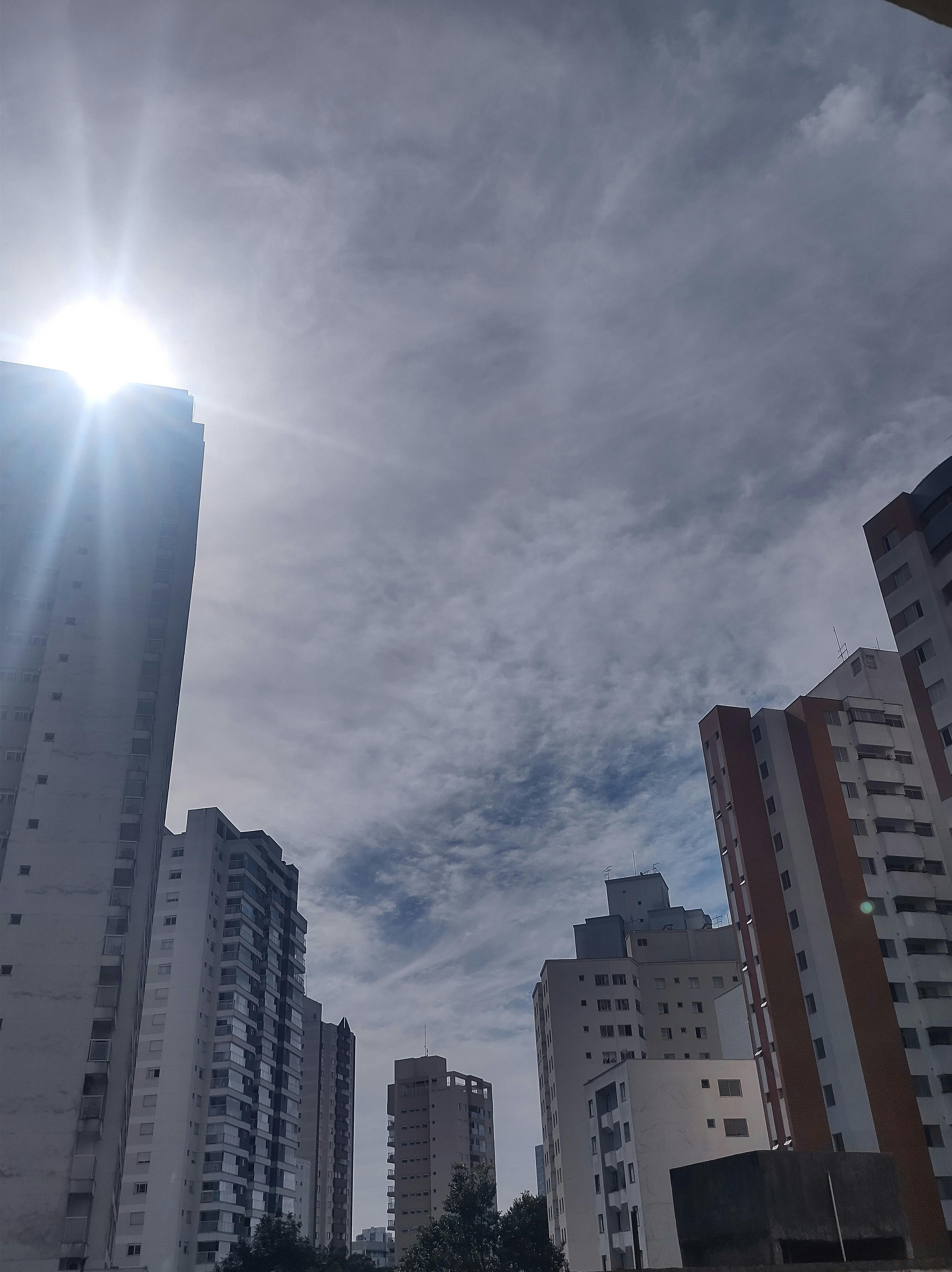 William Prado - การถ่ายภาพ