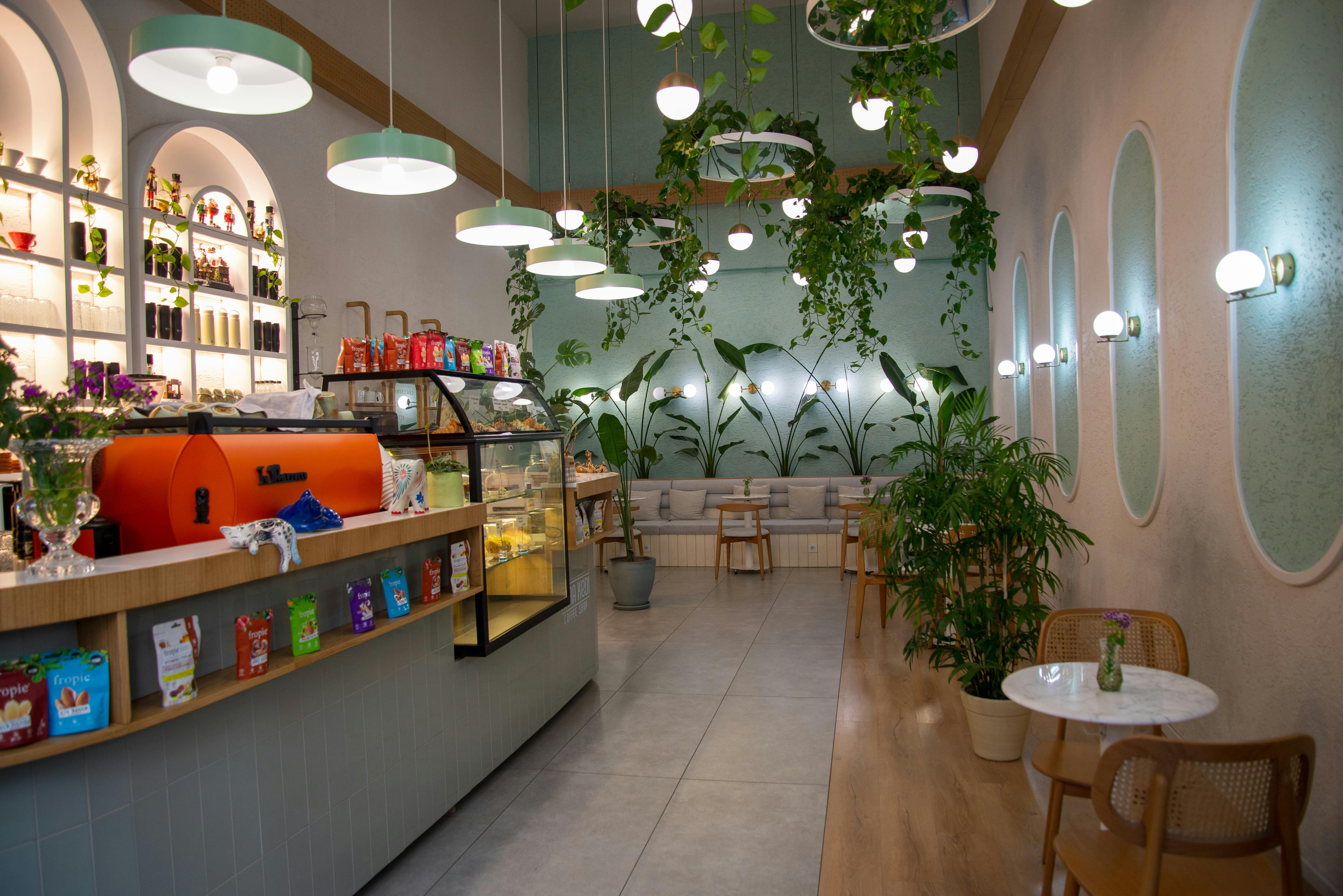 Plants in a Cafeteria · Free Stock Photo