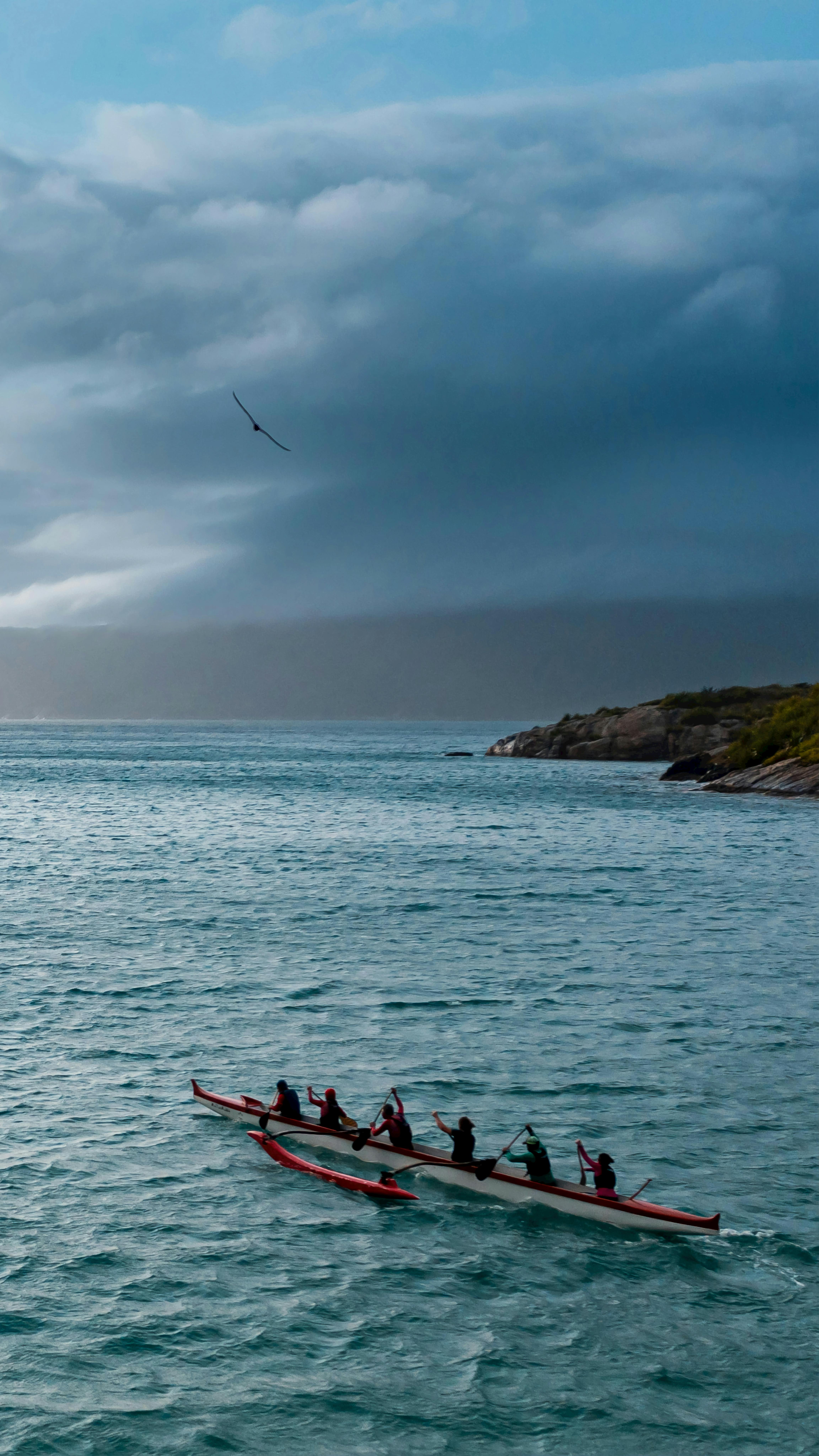 Group of People Kayaking Together · Free Stock Photo