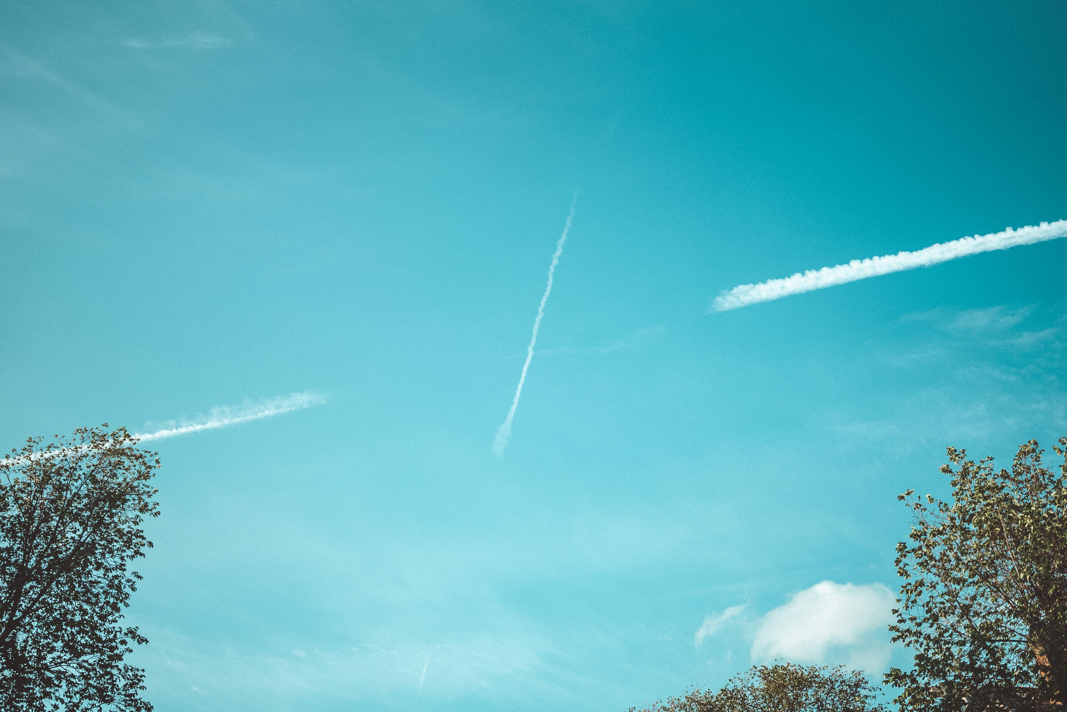 Two contrails in the sky above trees · Free Stock Photo