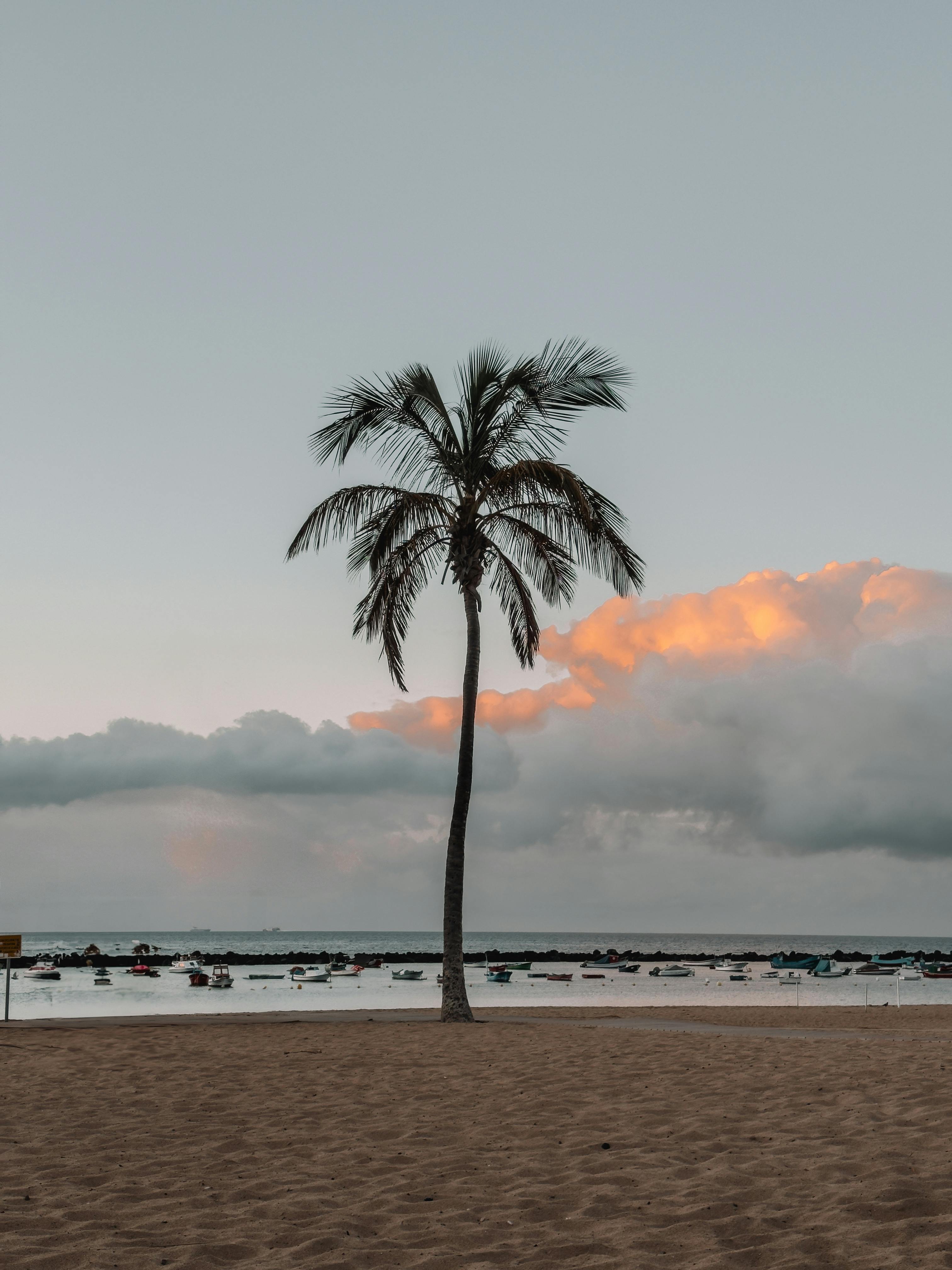 Gratis stockfoto van aan het strand, atlantische oceaan, avond ...
