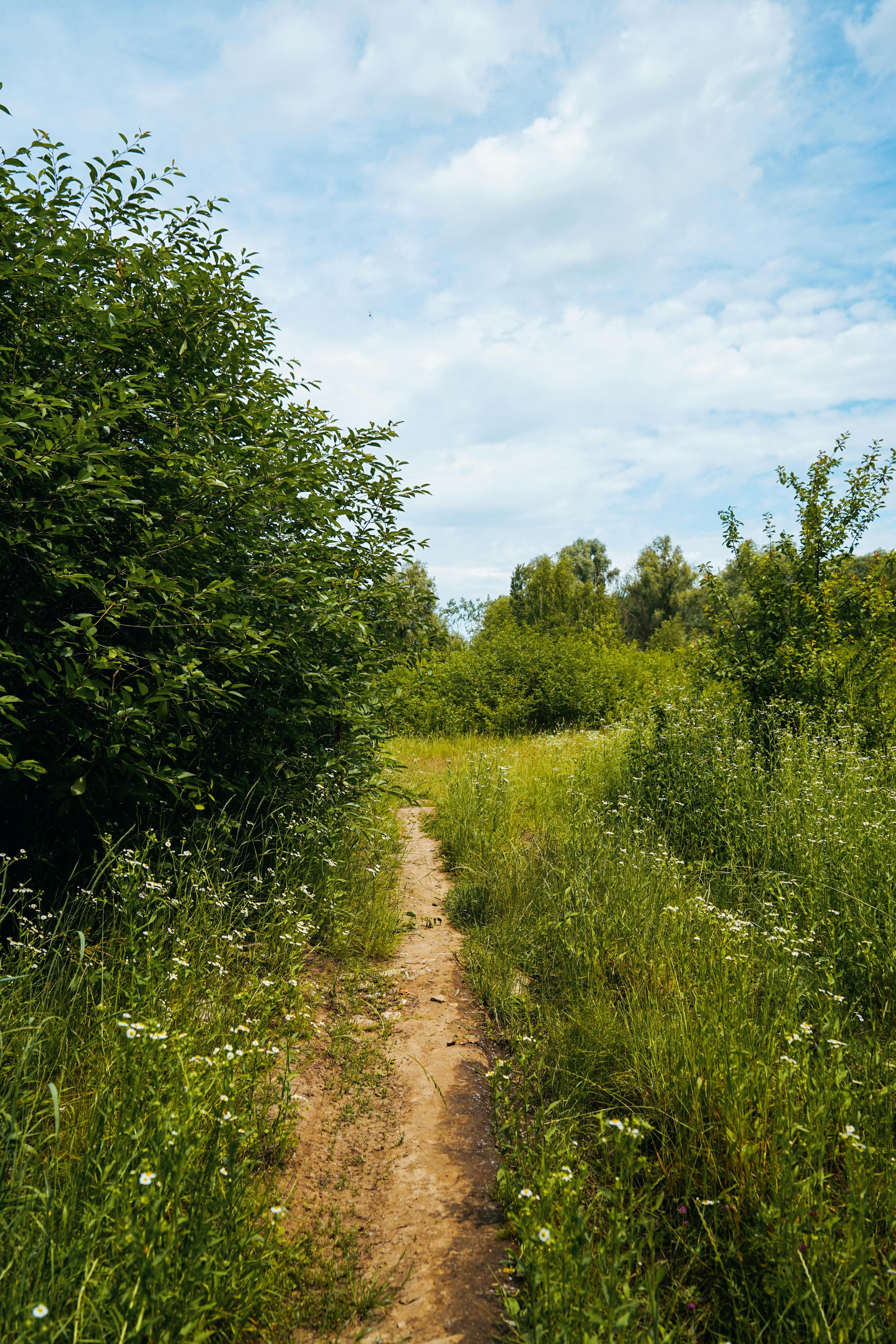 Dirt Footpath in Countryside · Free Stock Photo
