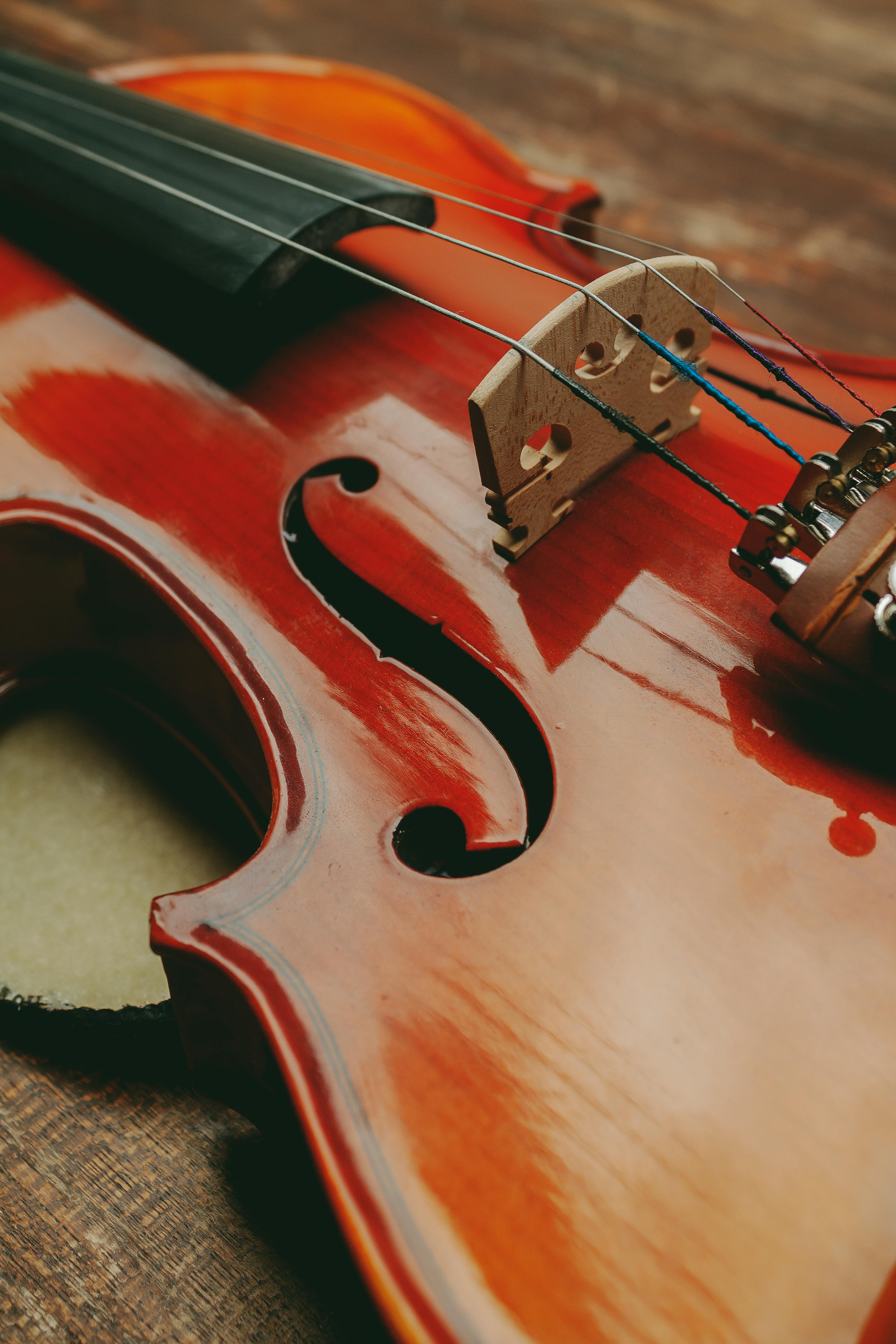 Focal Point Photo String of Violin · Free Stock Photo
