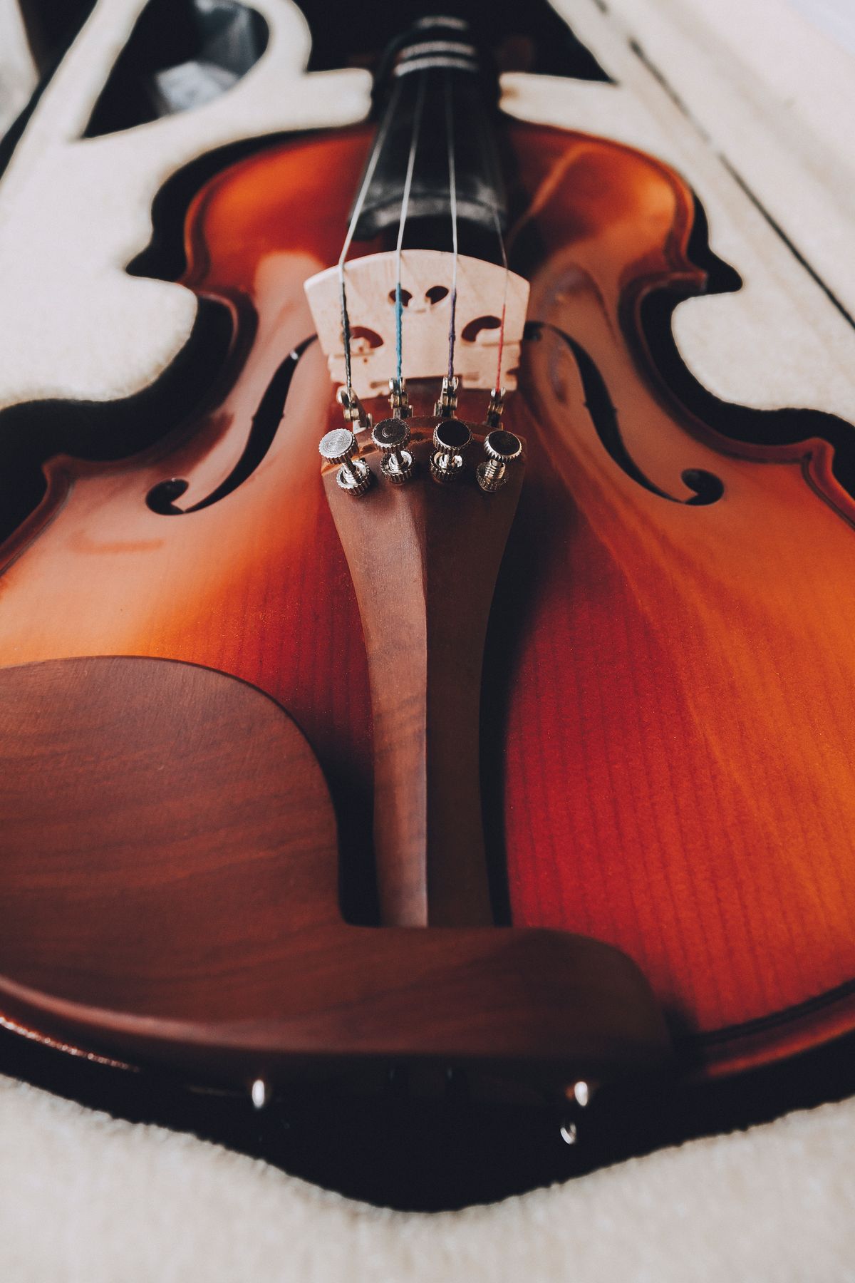 Violin Images Photos, Download The BEST Free Violin Images Stock Photos ...
