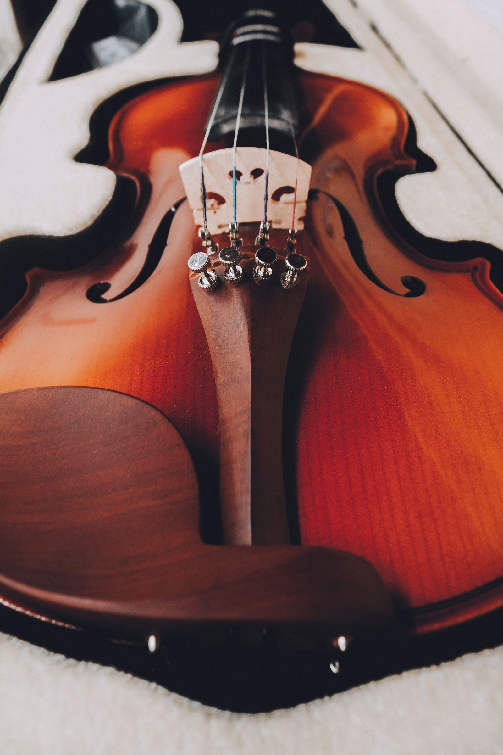 Violin Images Photos, Download The BEST Free Violin Images Stock Photos ...