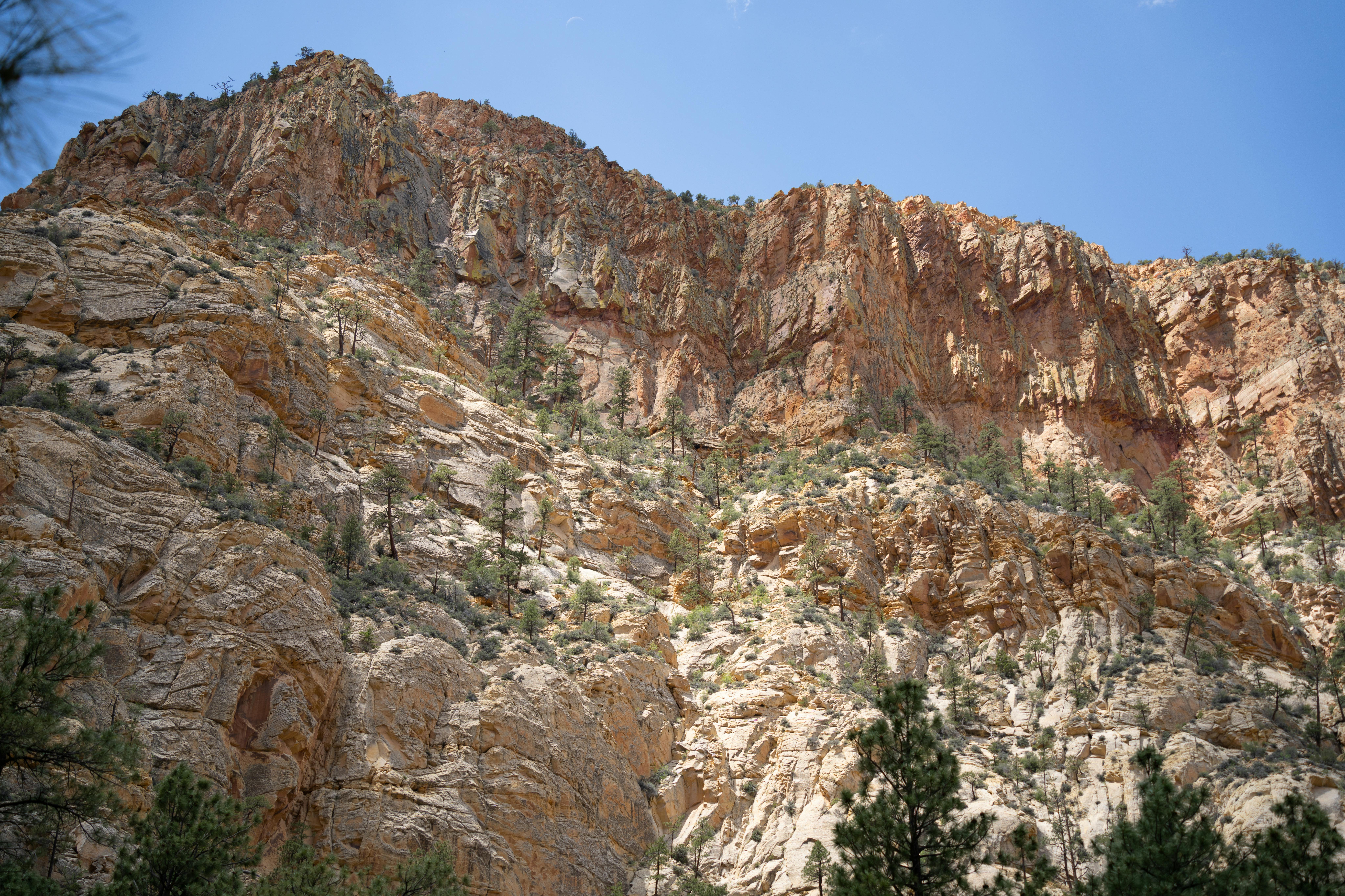 Steep Rugged Mountain in the Dixie National Forest · Free Stock Photo
