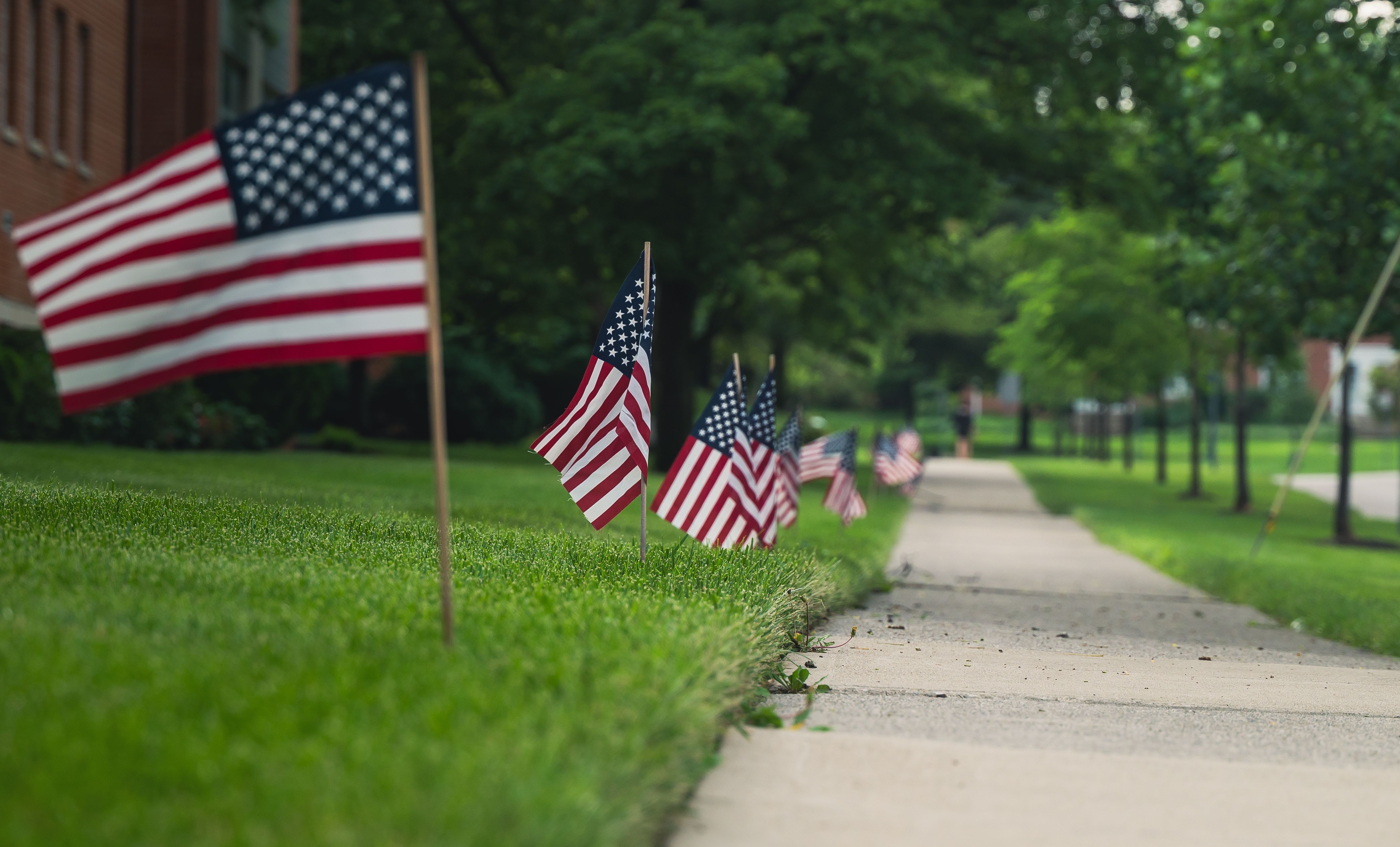 Lawn Decorated with United States of America Flags · Free Stock Photo