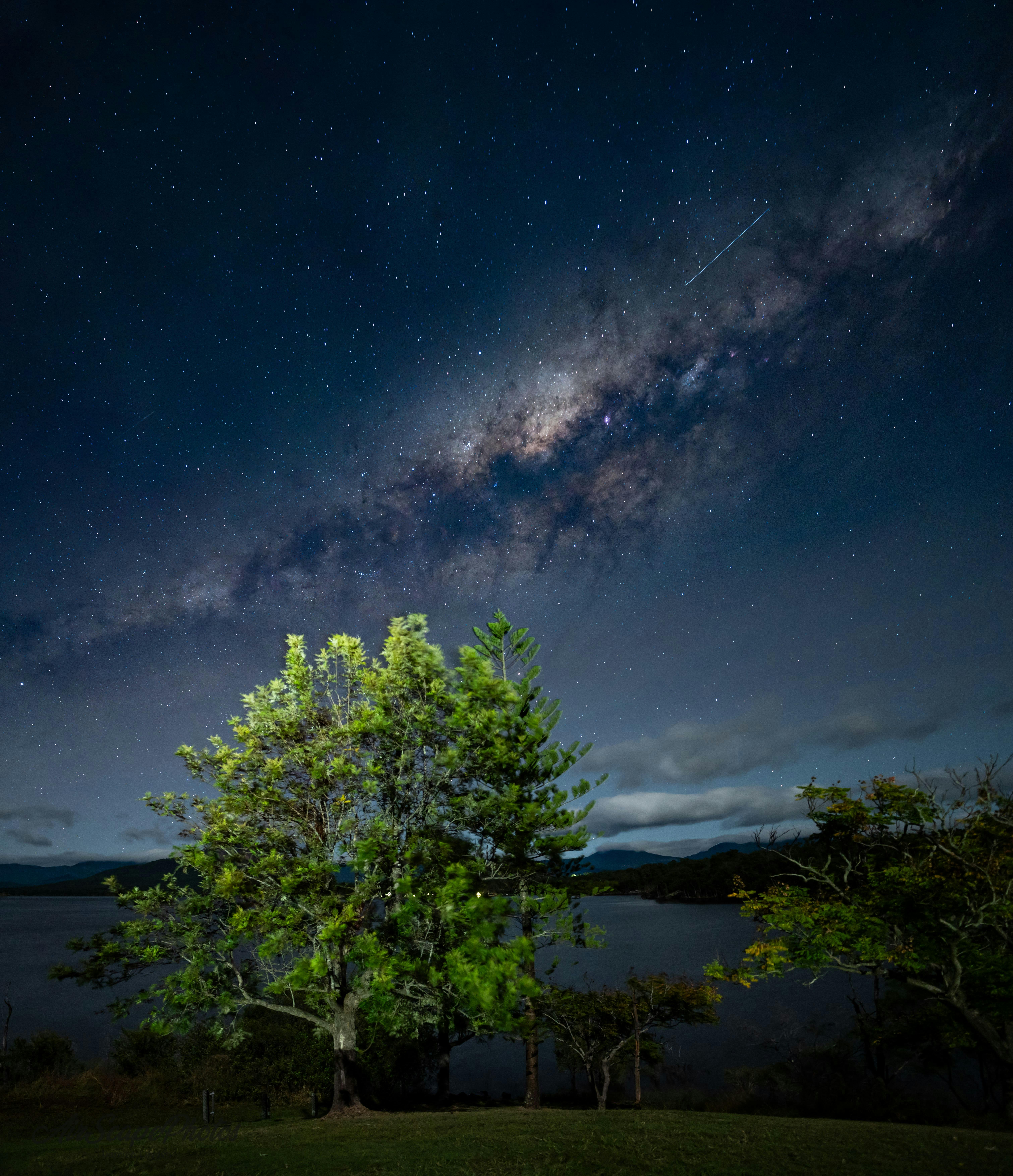 Illuminated Tree against Night Sky with Milky Way and Meteorites ...