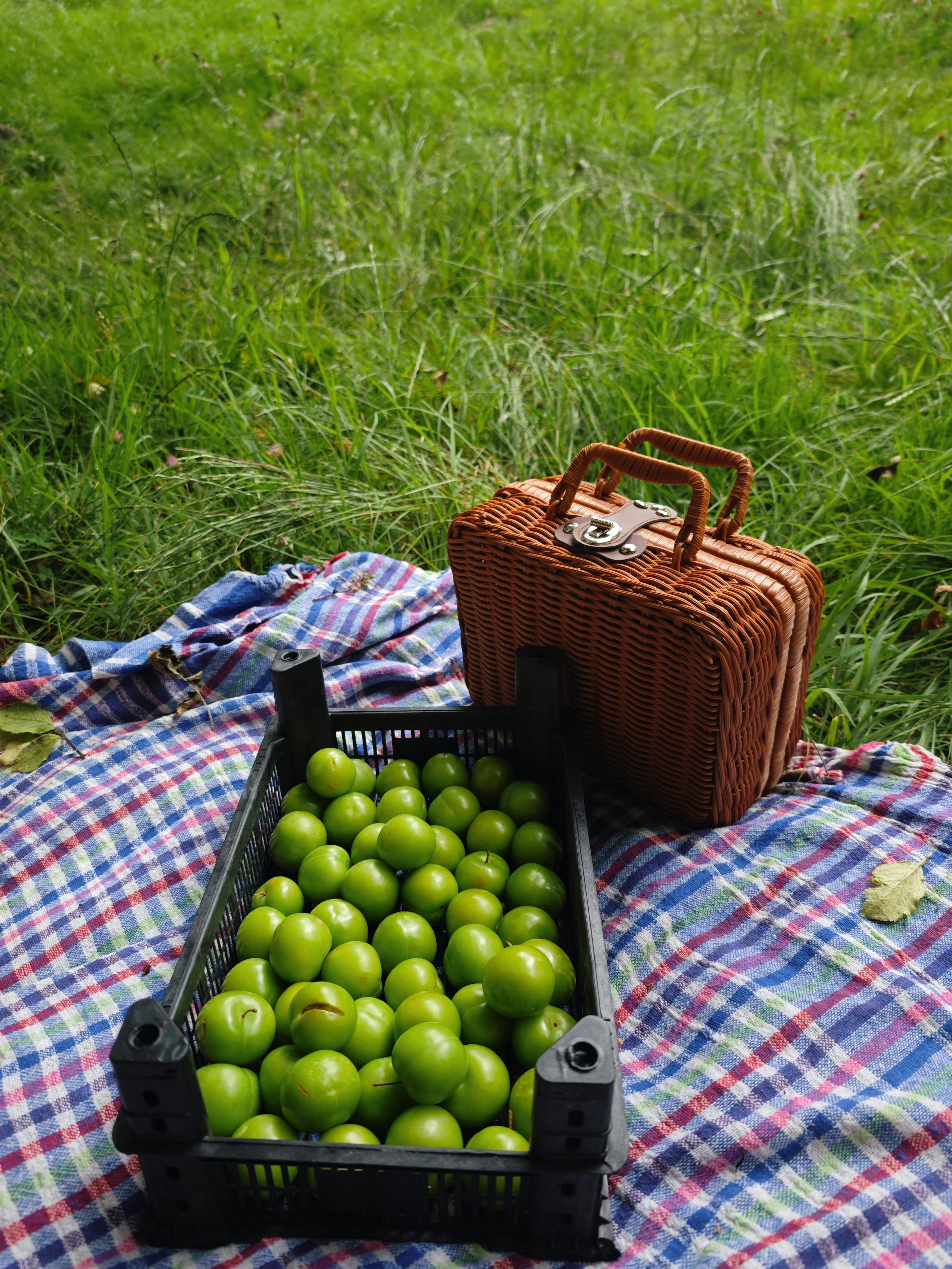 Demo Crate Photos, Download The BEST Free Demo Crate Stock Photos & HD ...