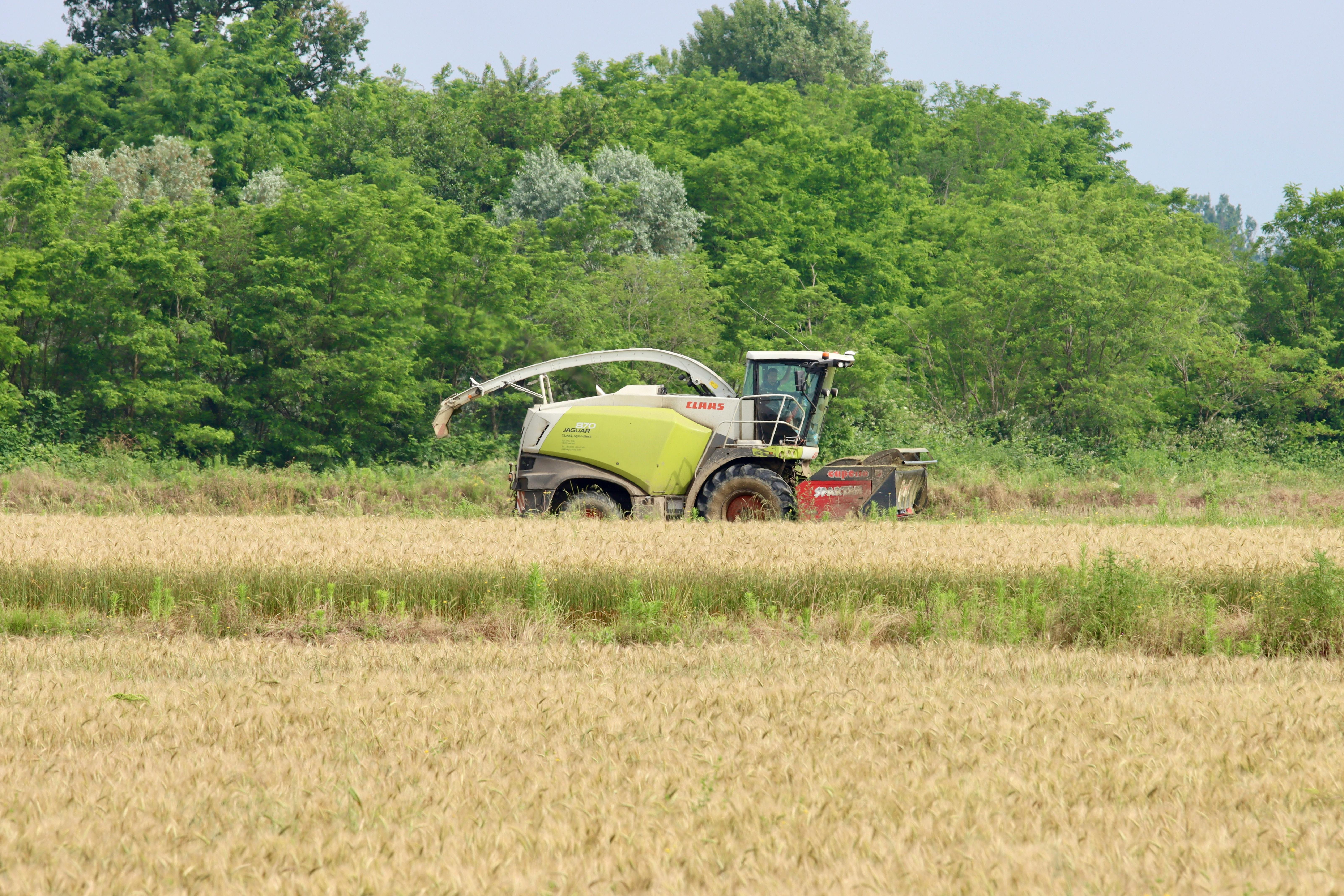 Italian Rural Scene Photos, Download The BEST Free Italian Rural Scene ...