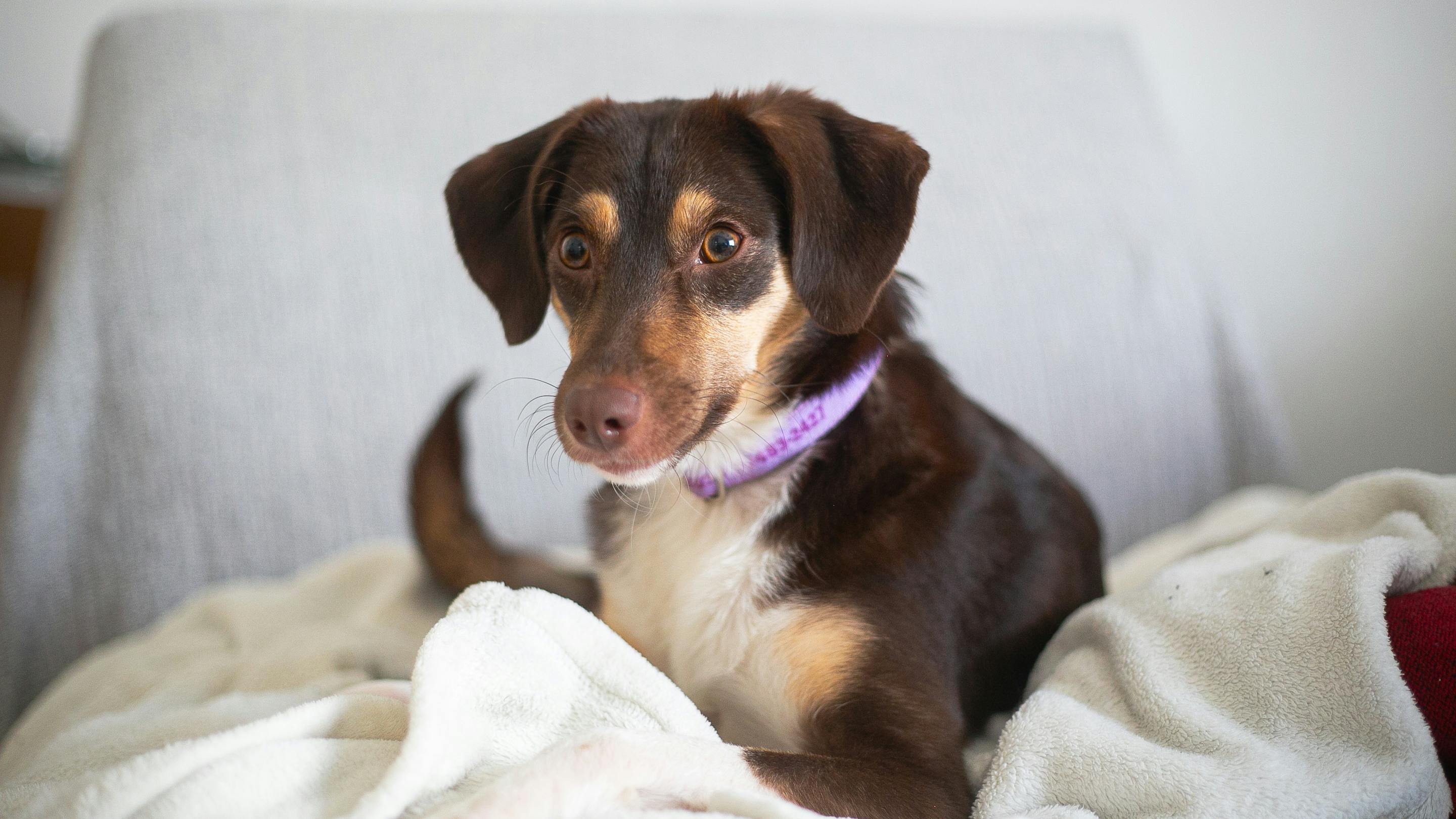 William Prado - Photography