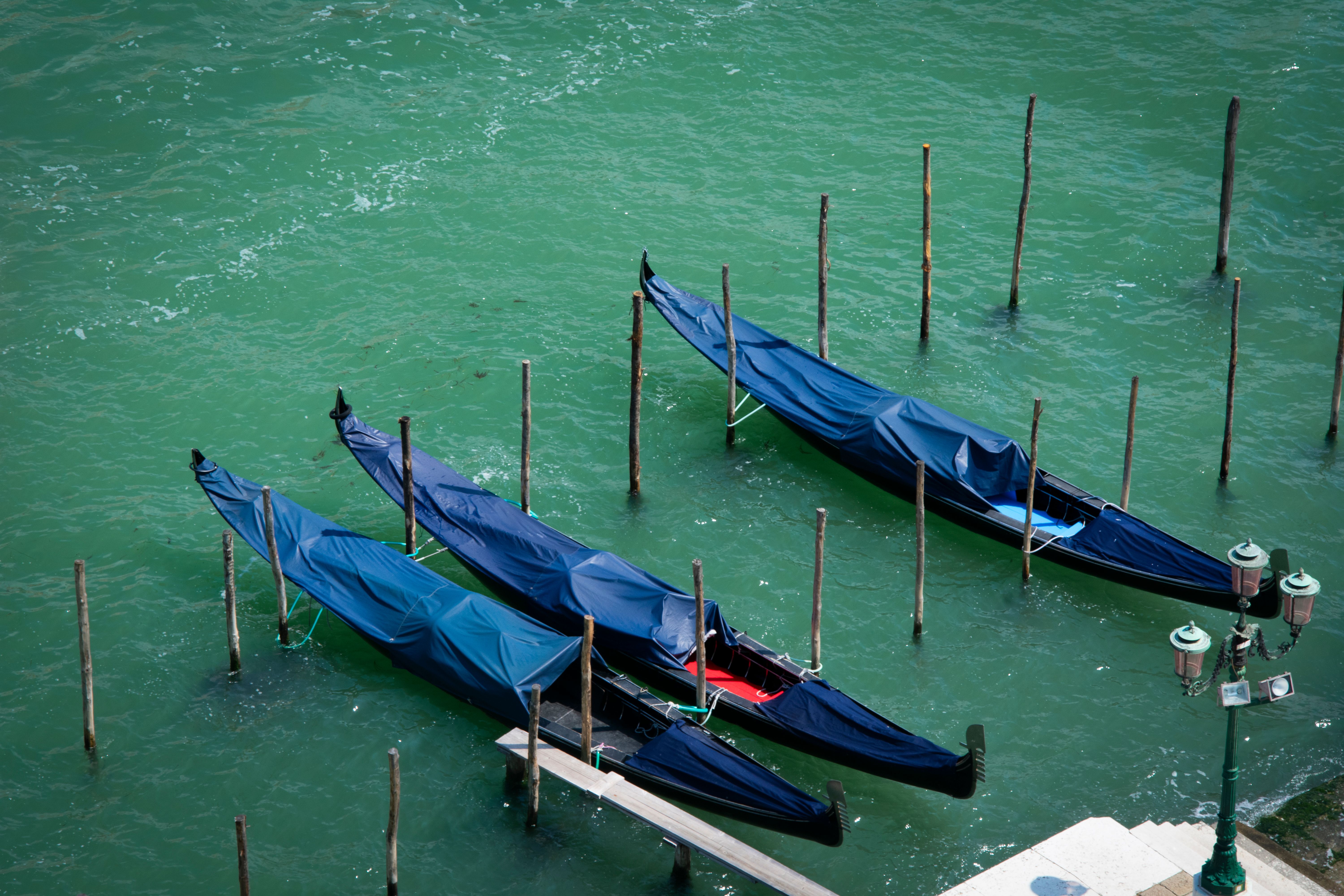Gondolas with Blue Covers · Free Stock Photo
