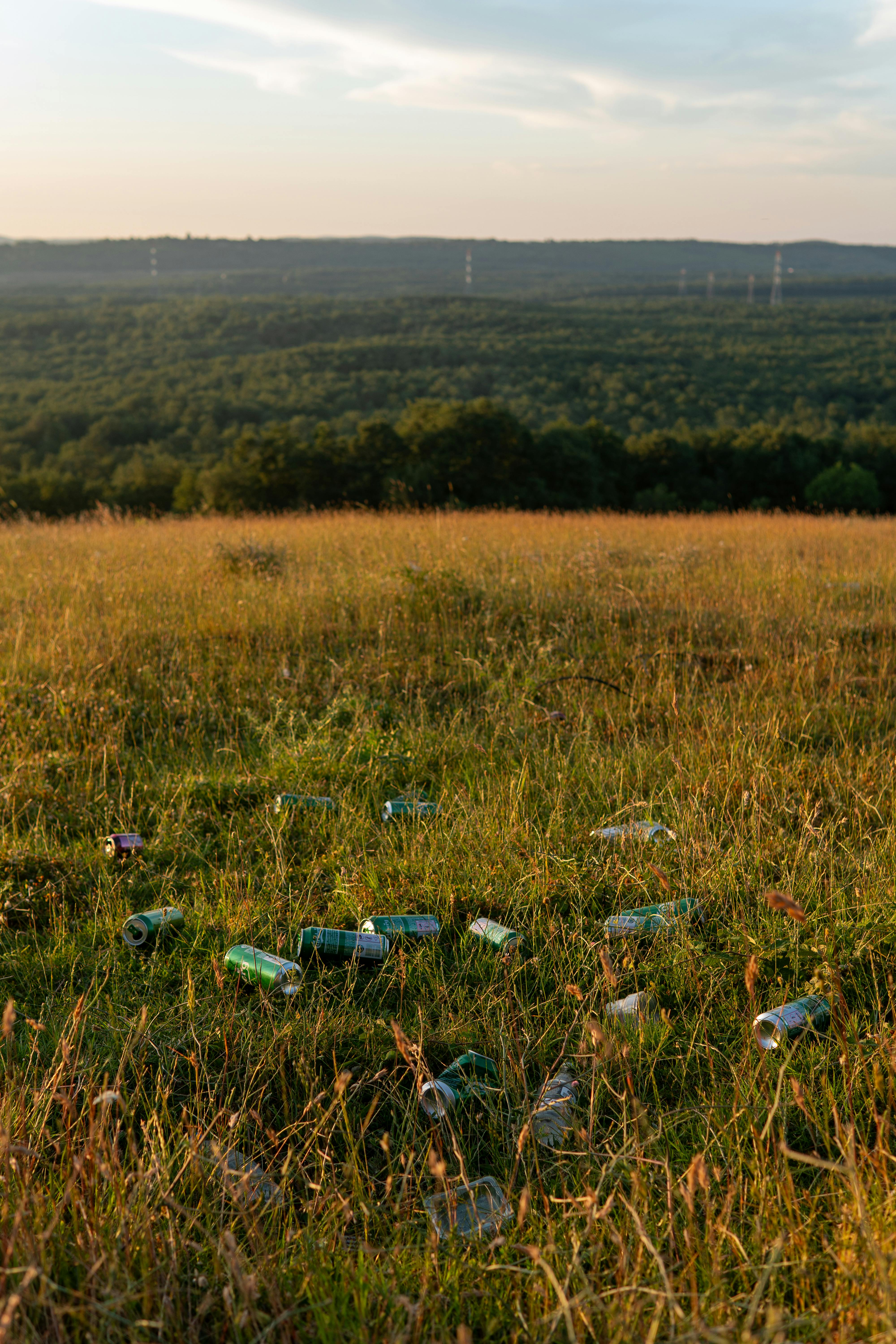 Empty Beer Cans in a Field · Free Stock Photo