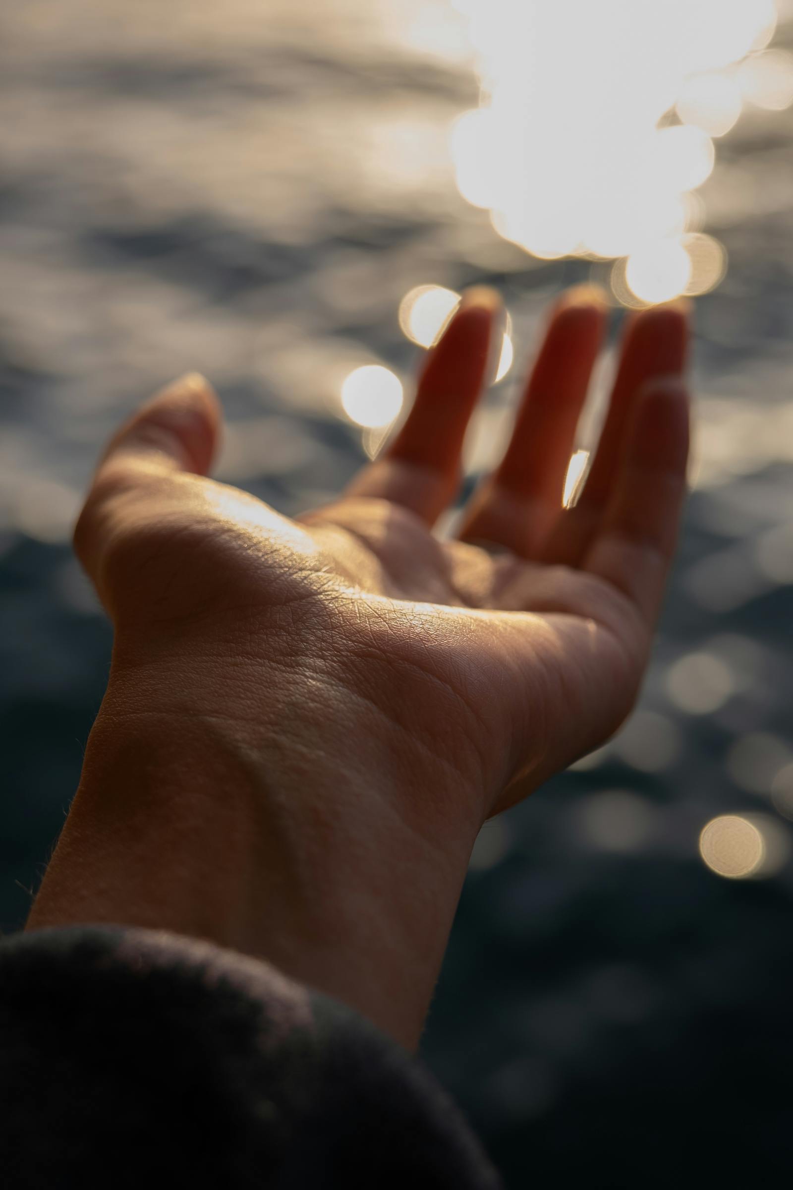 Water Scarcity Photos, Download The BEST Free Water Scarcity Stock ...