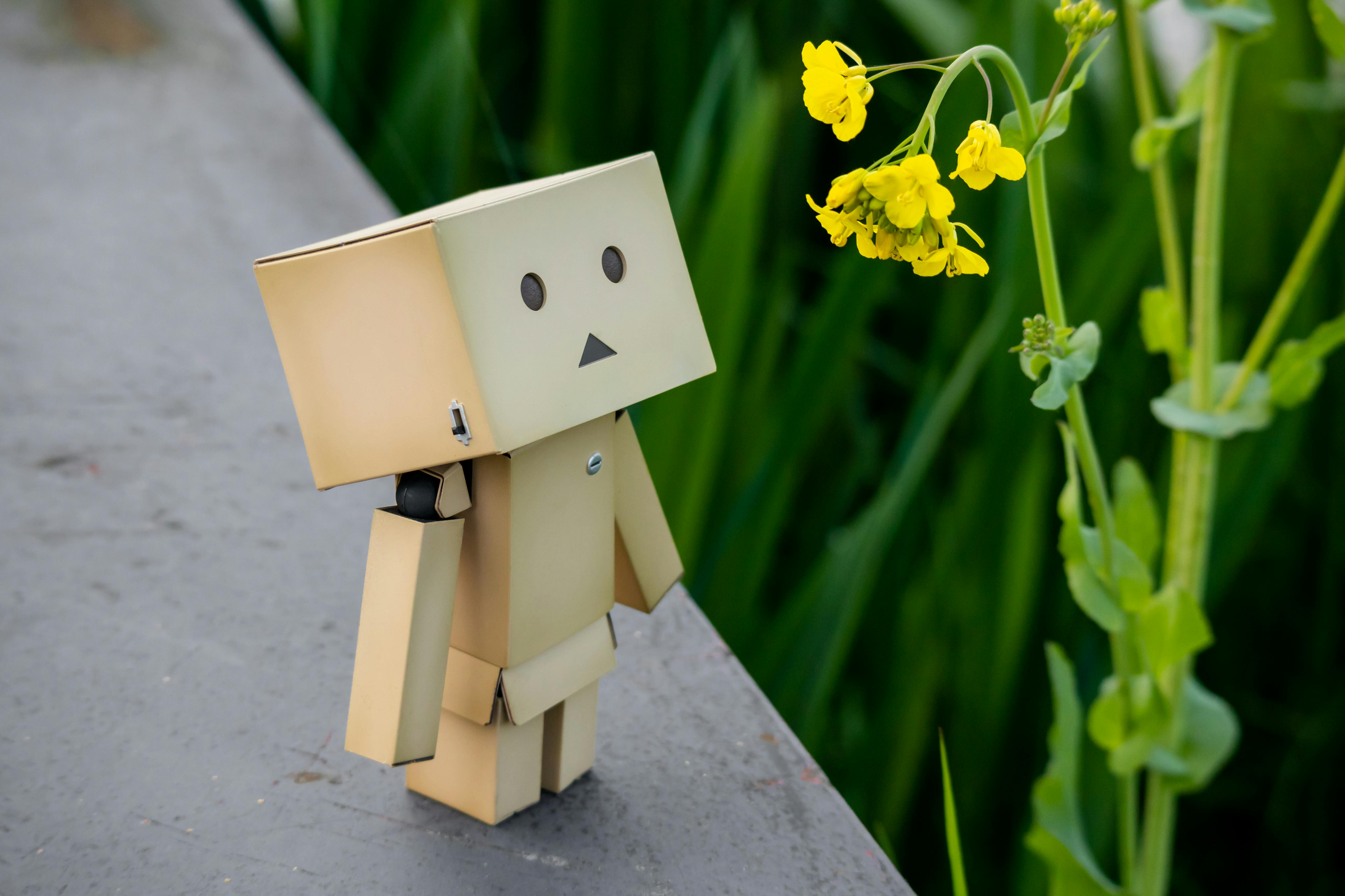 Brown Cardboard Robot Artwork · Free Stock Photo