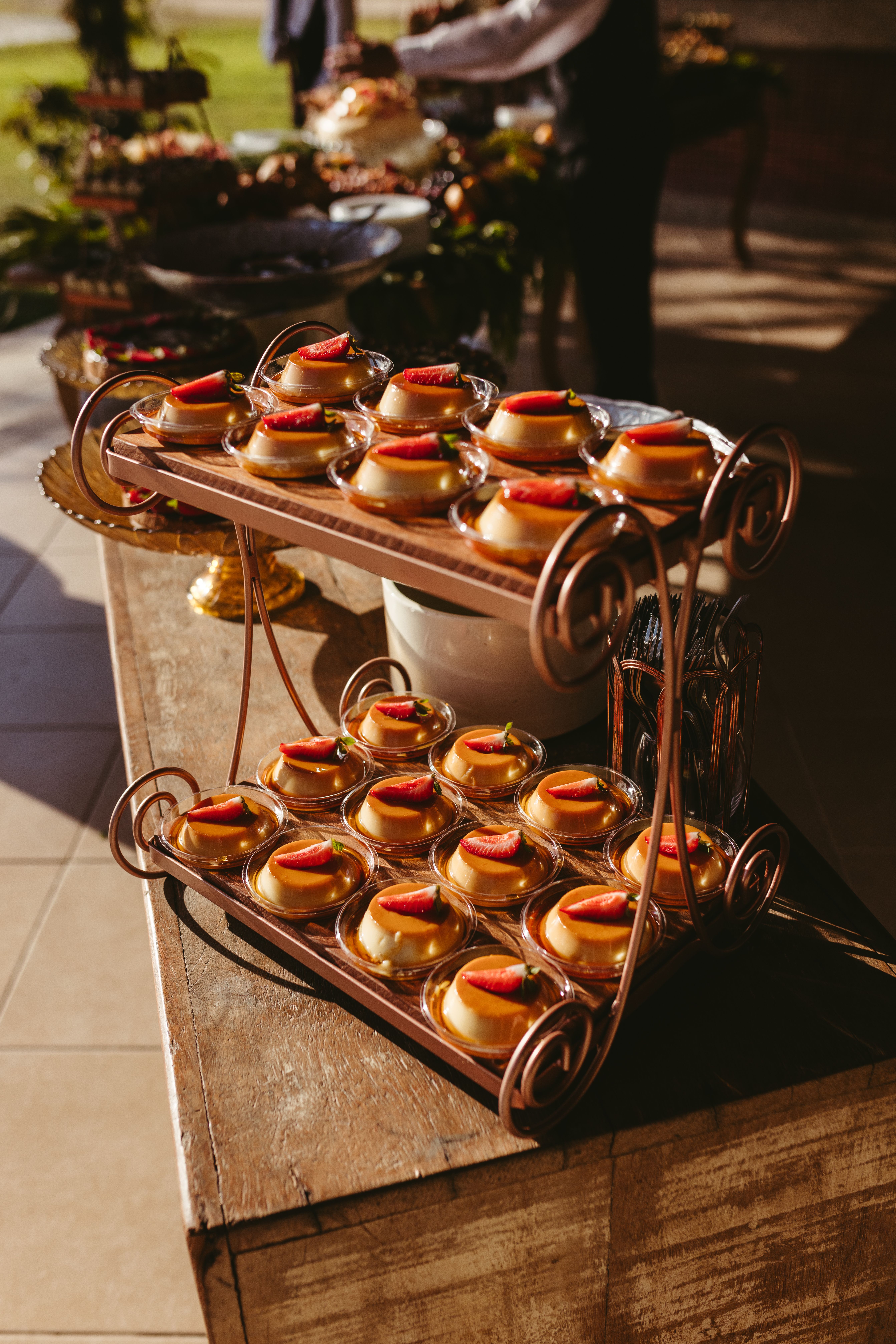 Double Tray with Cheesecakes · Free Stock Photo