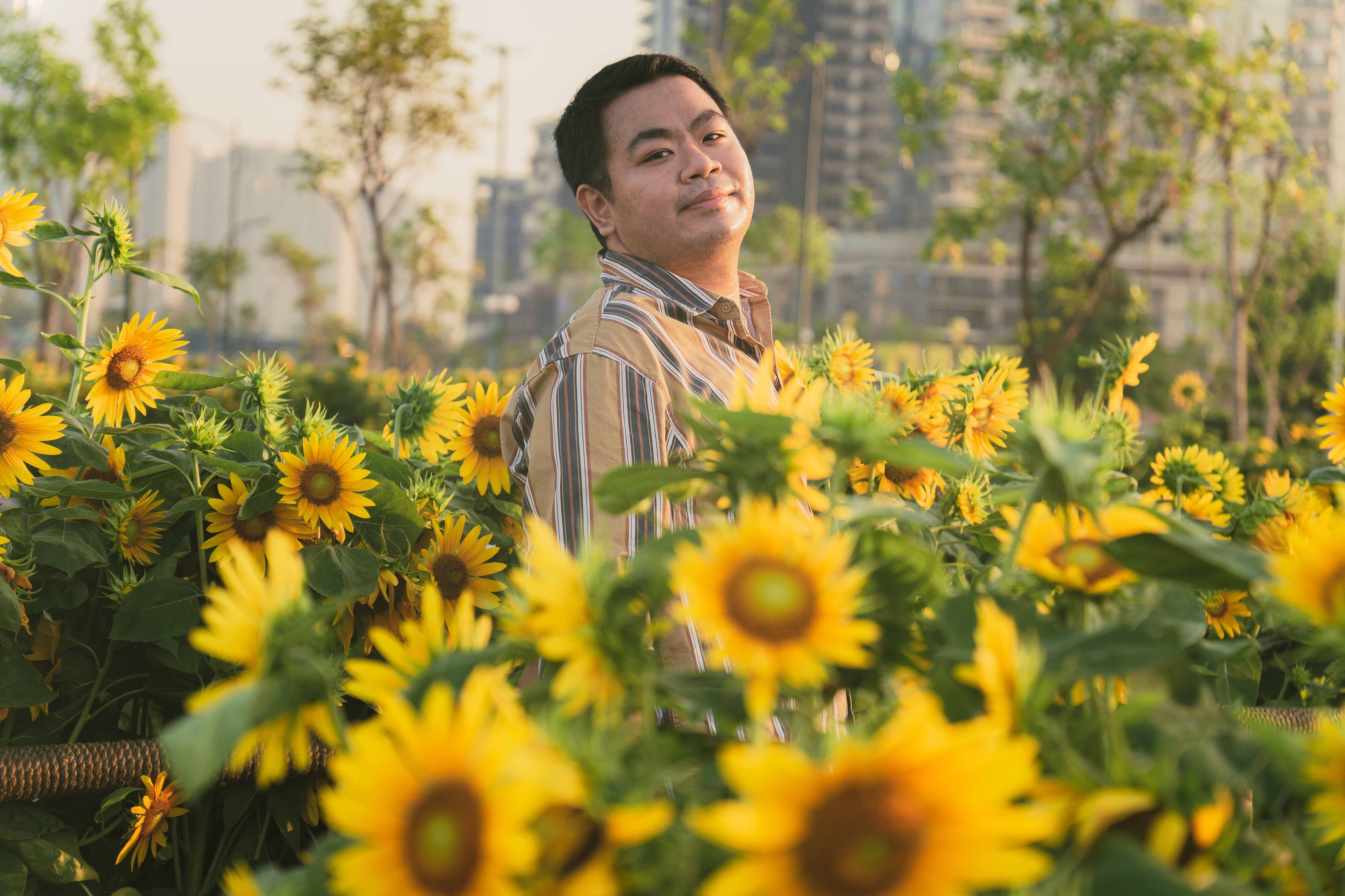 Man Among Sunflowers · Free Stock Photo