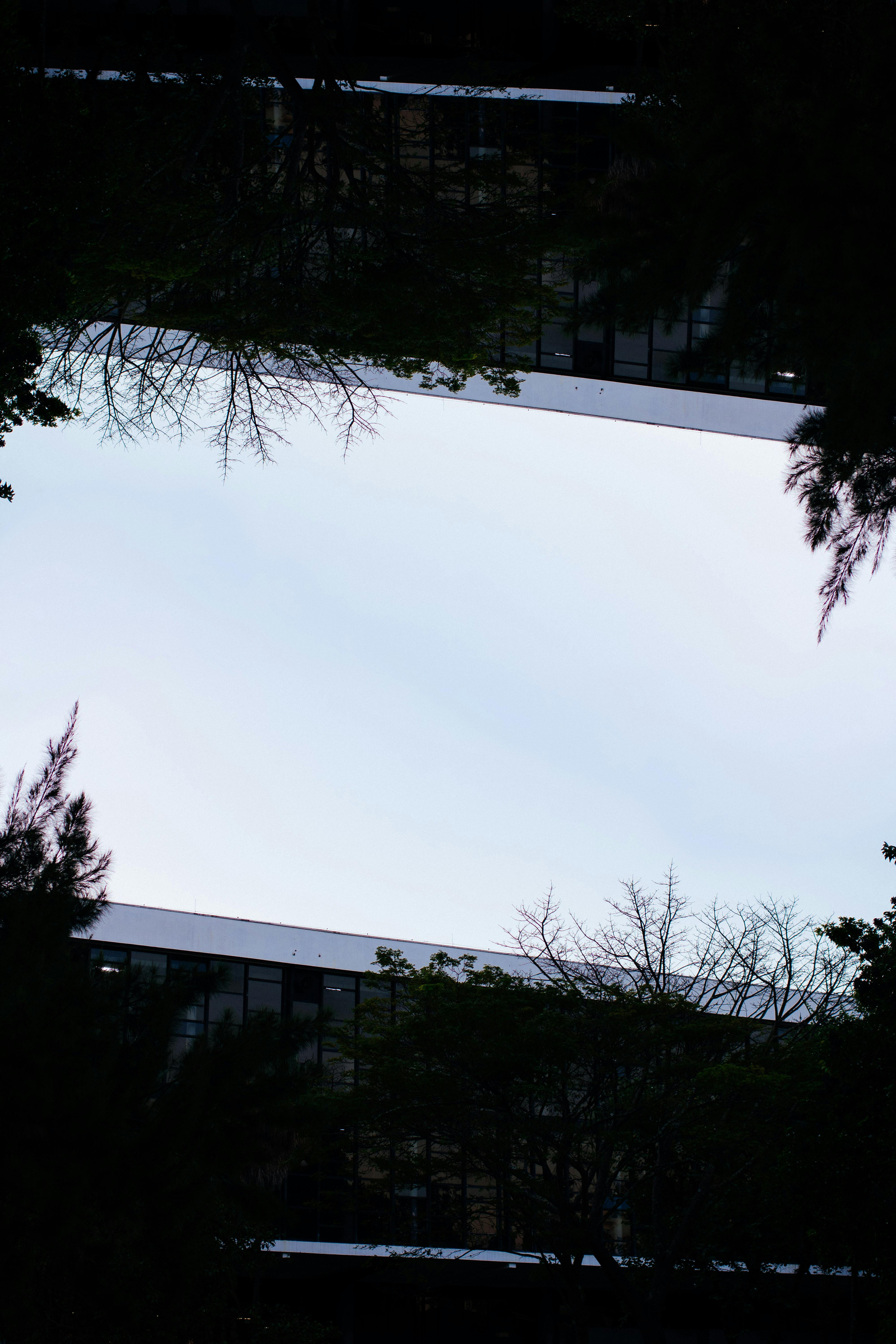 building behind trees · Free Stock Photo