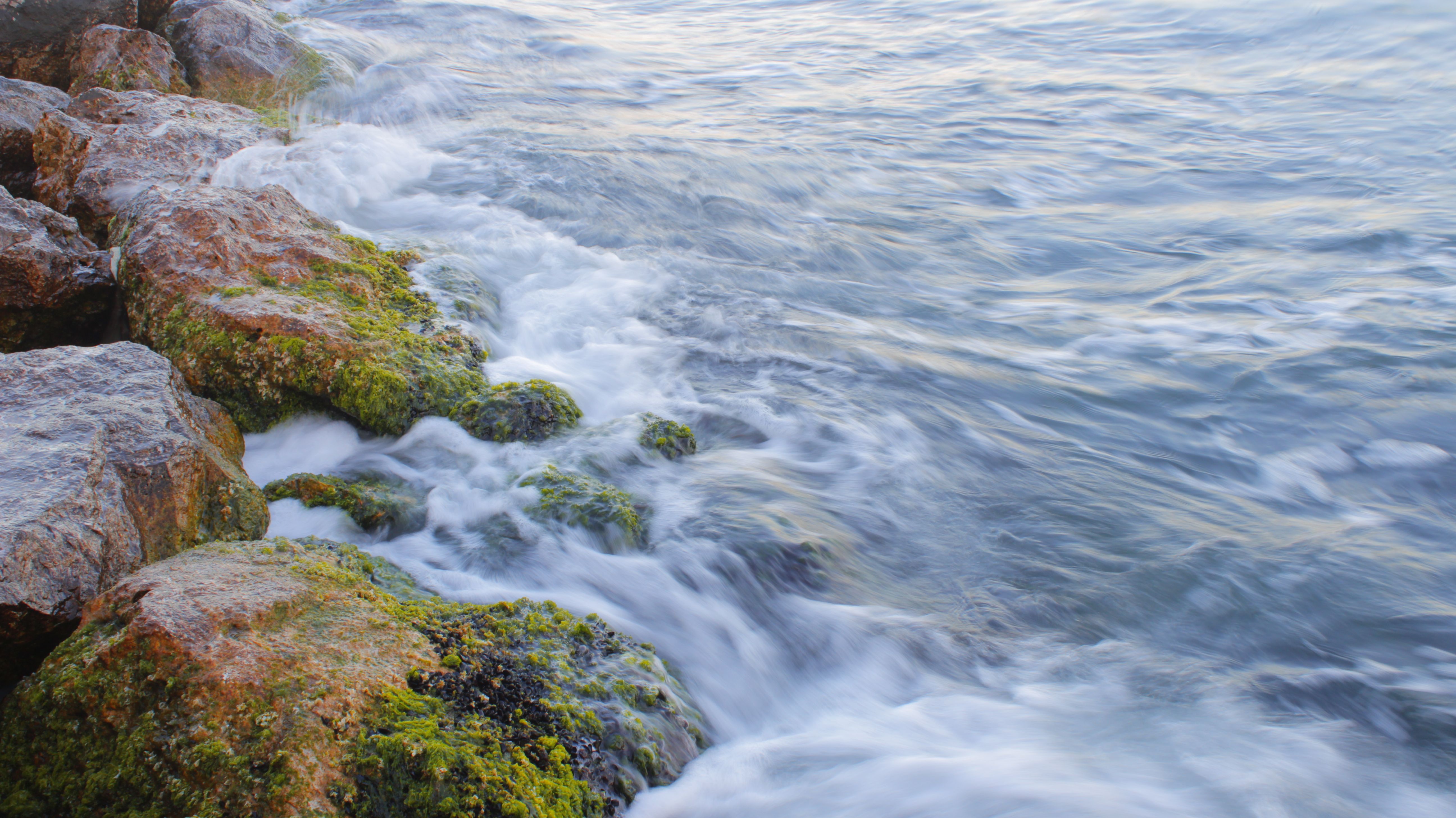 A rocky shoreline with green algae and water · Free Stock Photo
