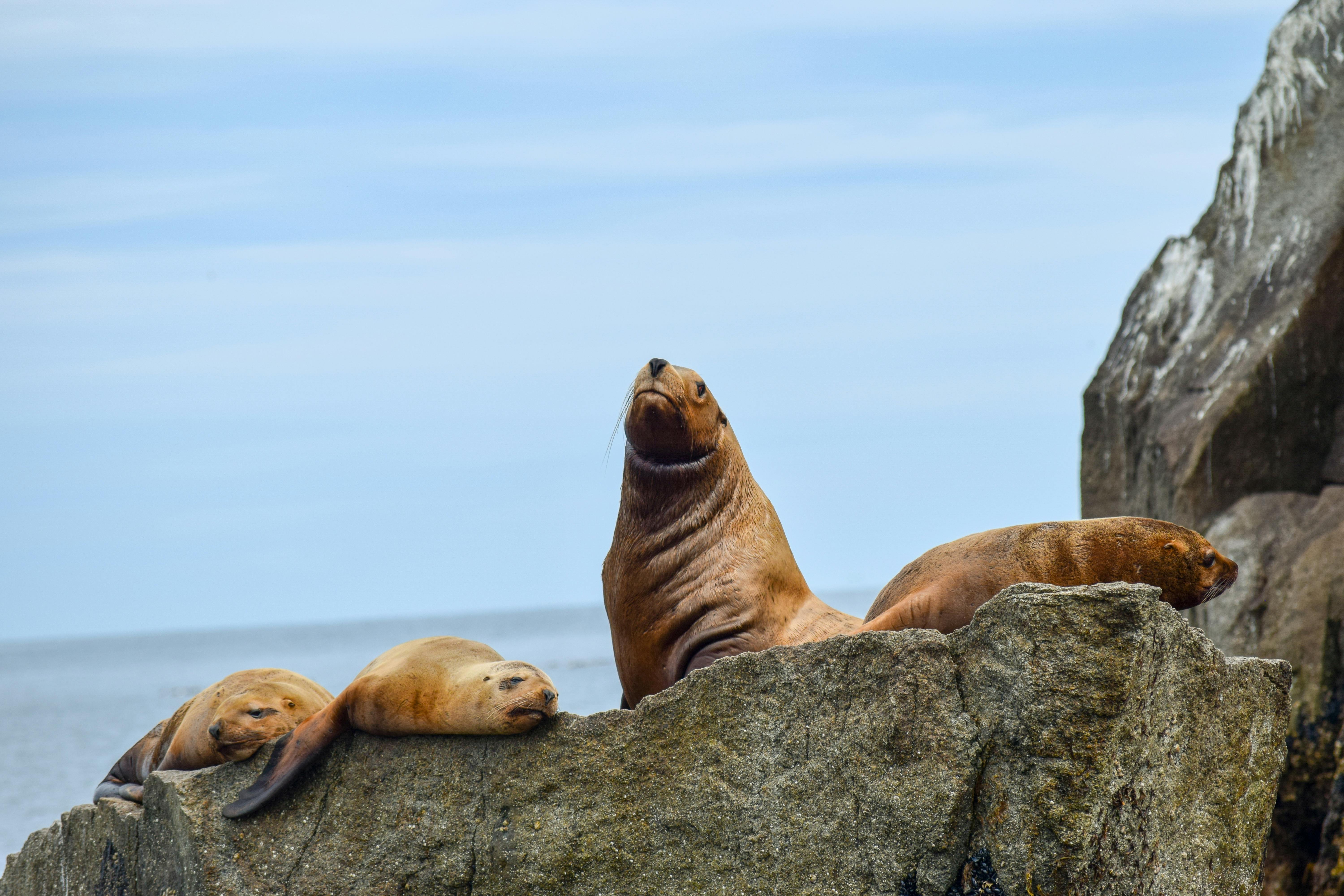 Julian Lobo - Photography