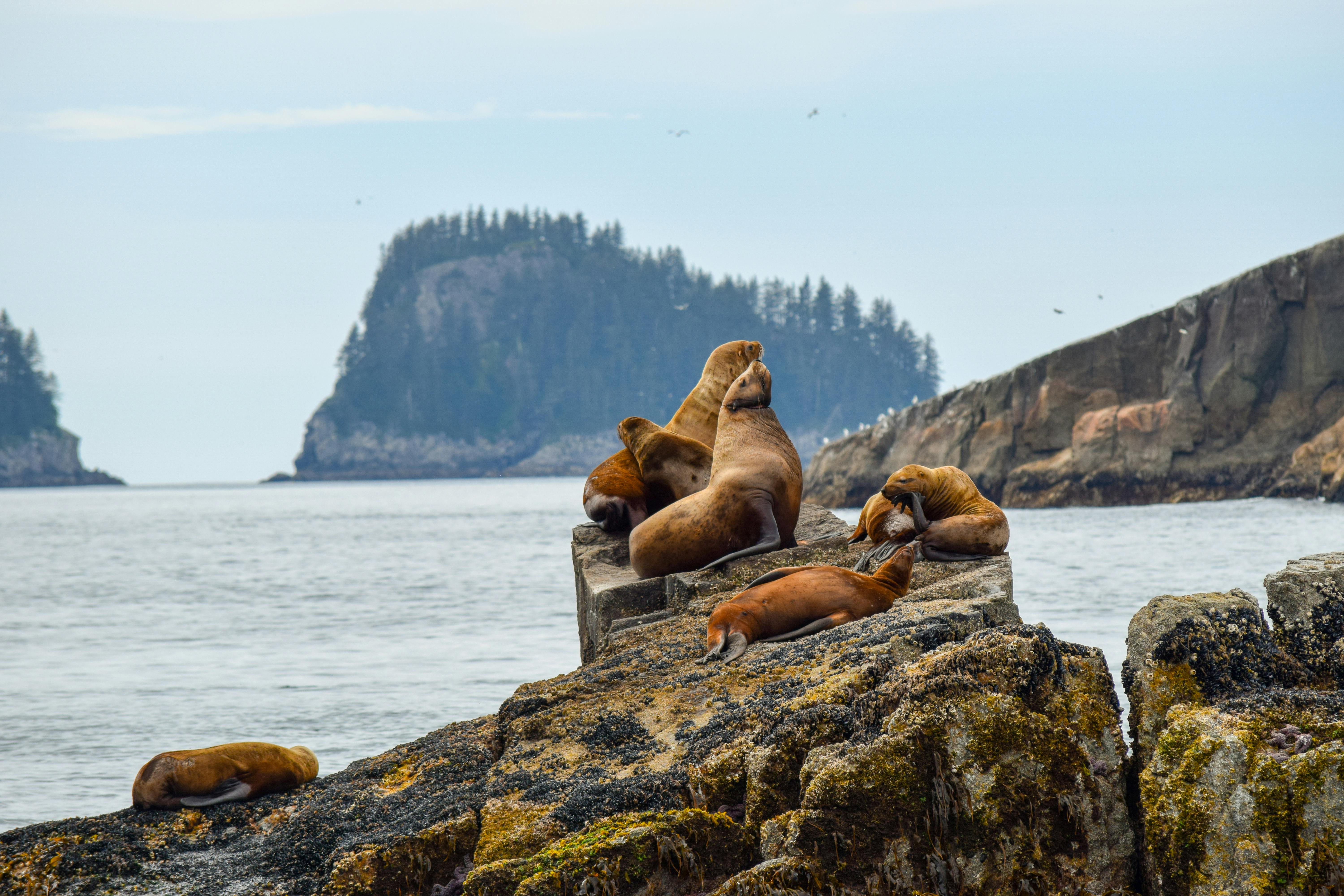 Julian Lobo - Photography