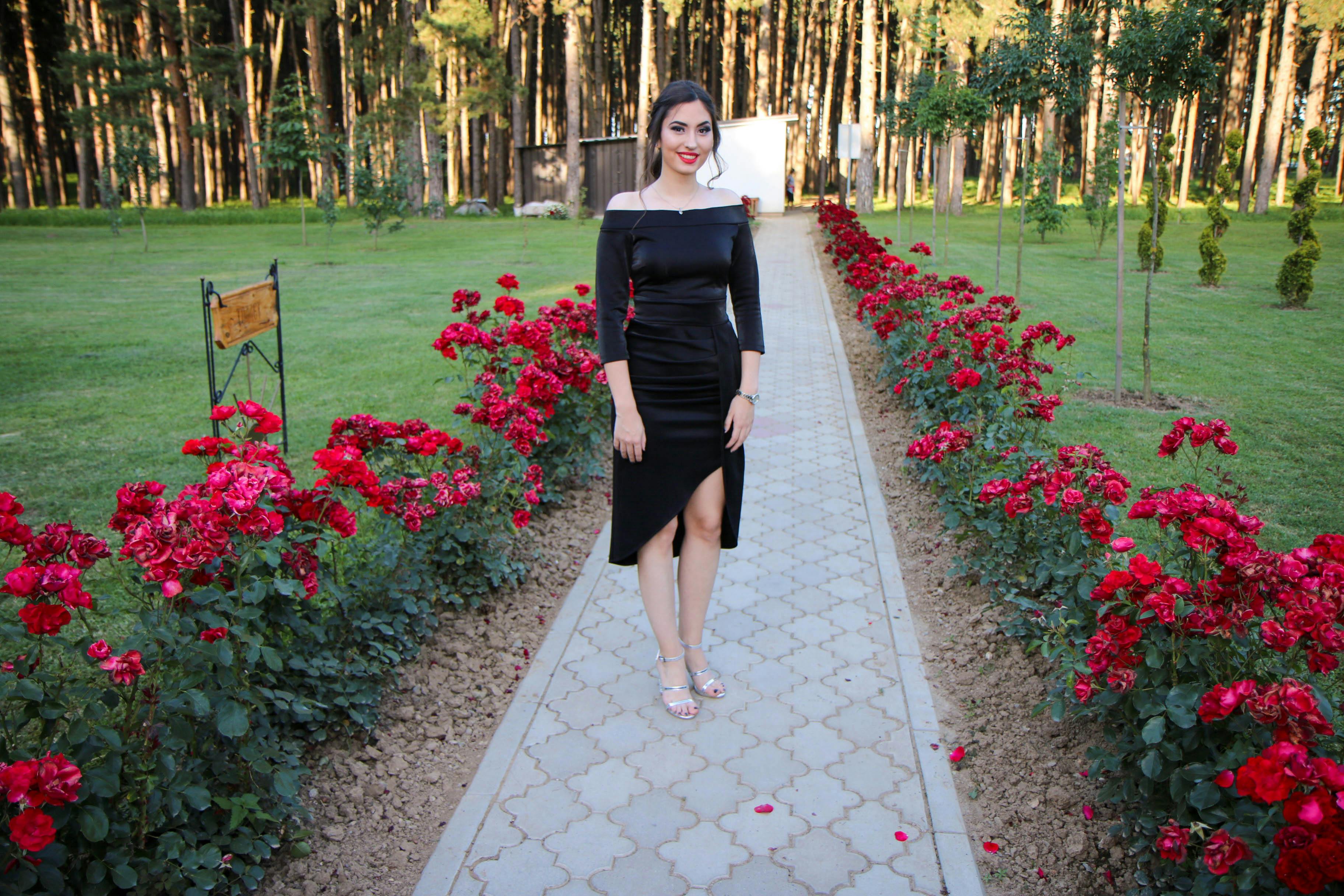 Vladimir Mandic - Photography